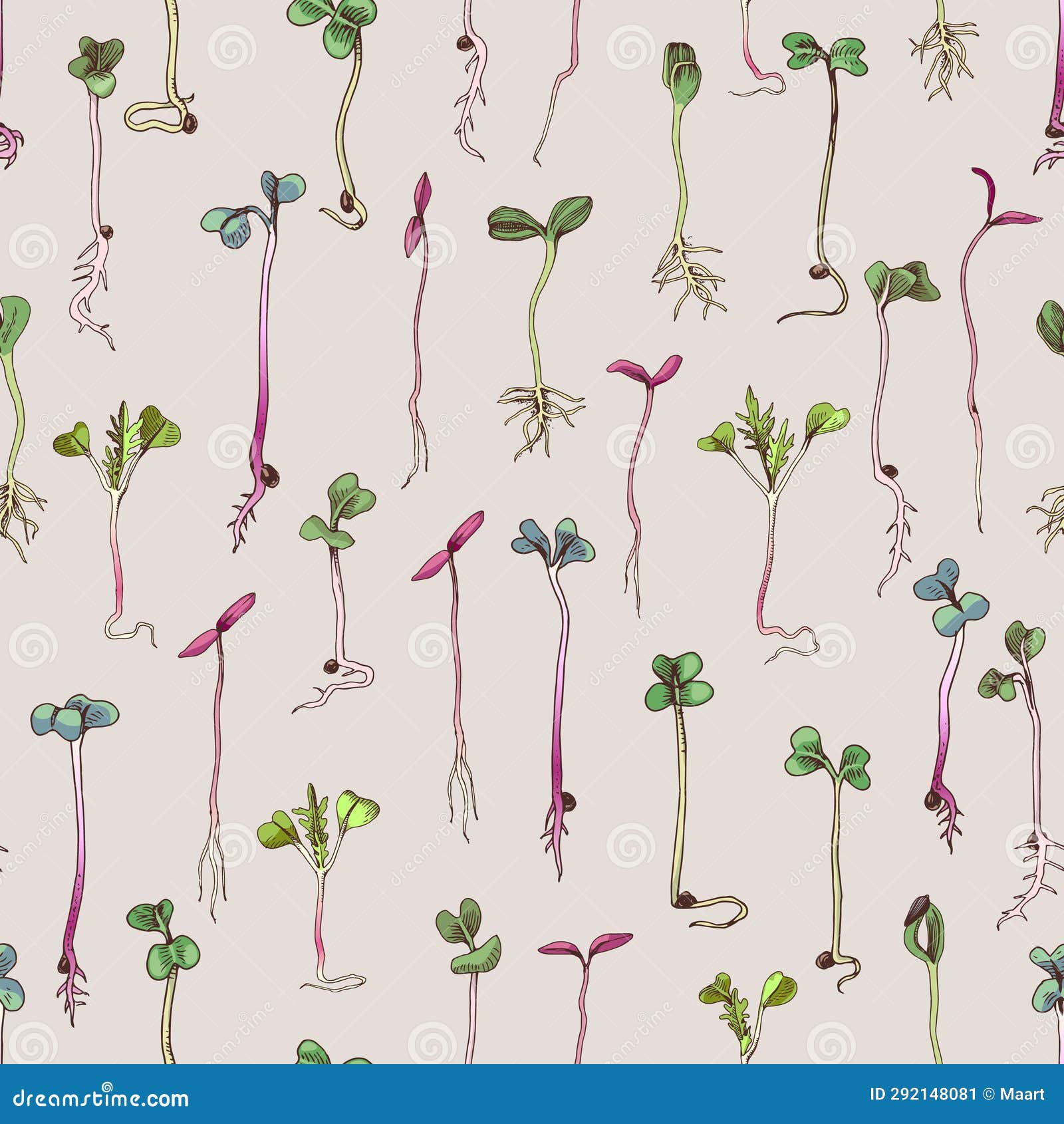 Microgreens Hand Drawn Seamless Pattern Stock Illustration ...