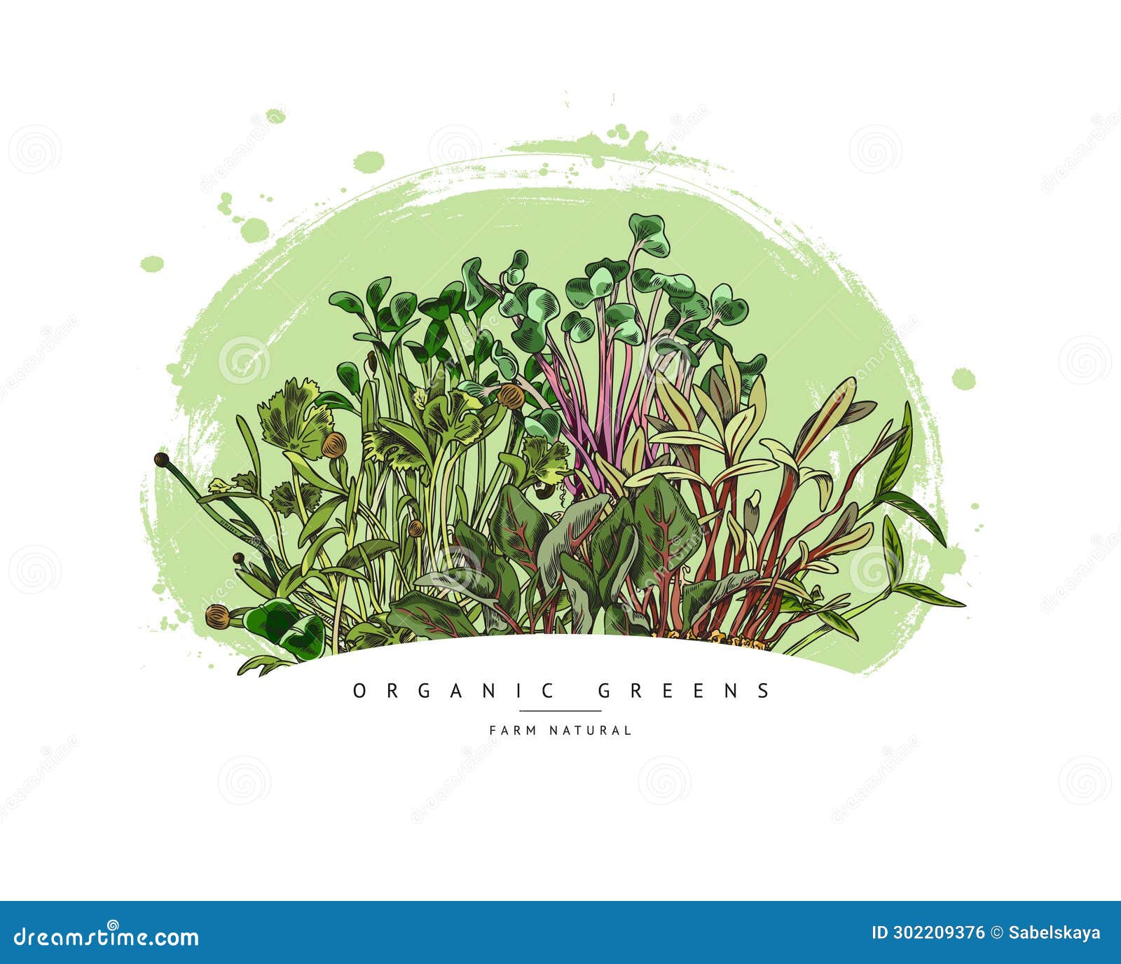 Microgreens Vector Design Composition on White, Color Sketch Style ...