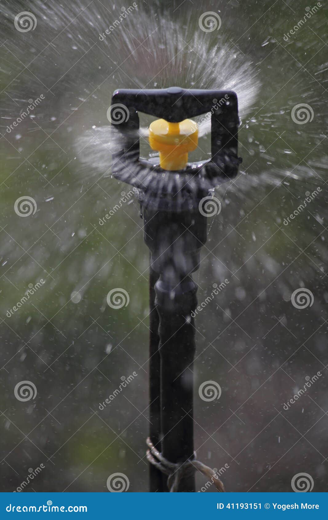 Microjet Sprinkler stock image. Image of irrigate, cold - 41193151