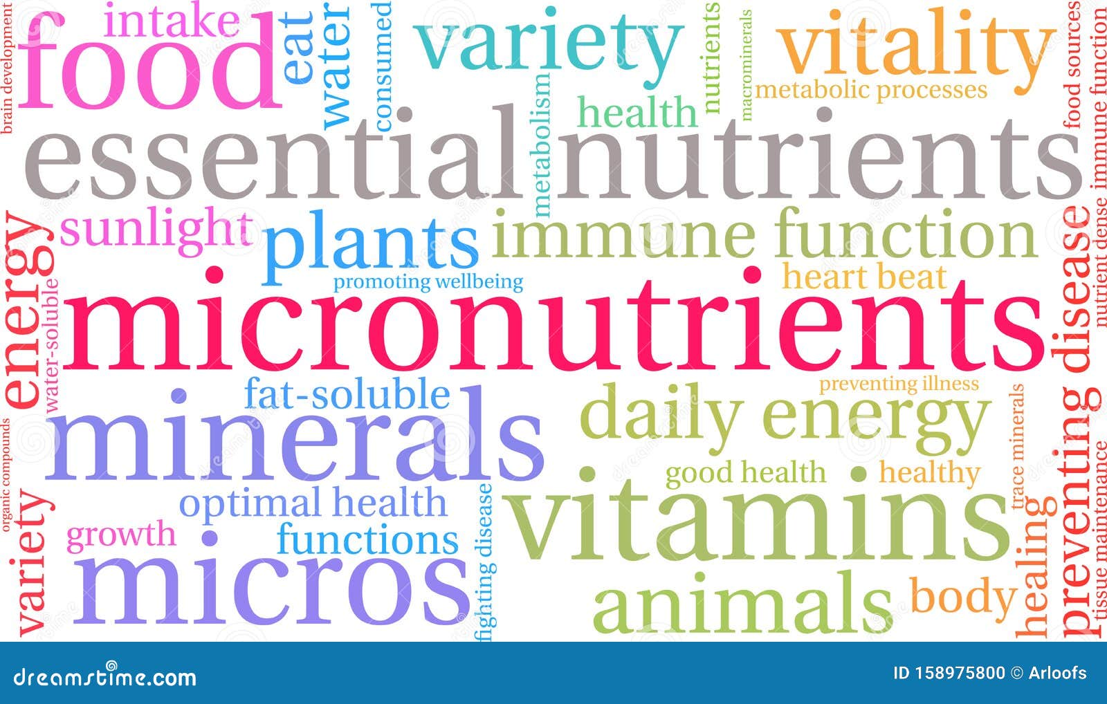 Micronutrients Word Cloud stock vector. Illustration of function ...