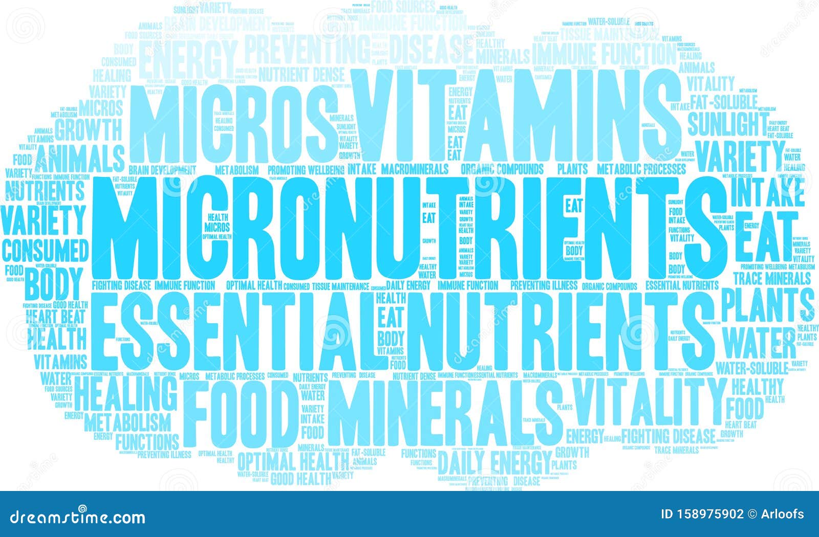 Micronutrients Word Cloud stock vector. Illustration of food - 158975902