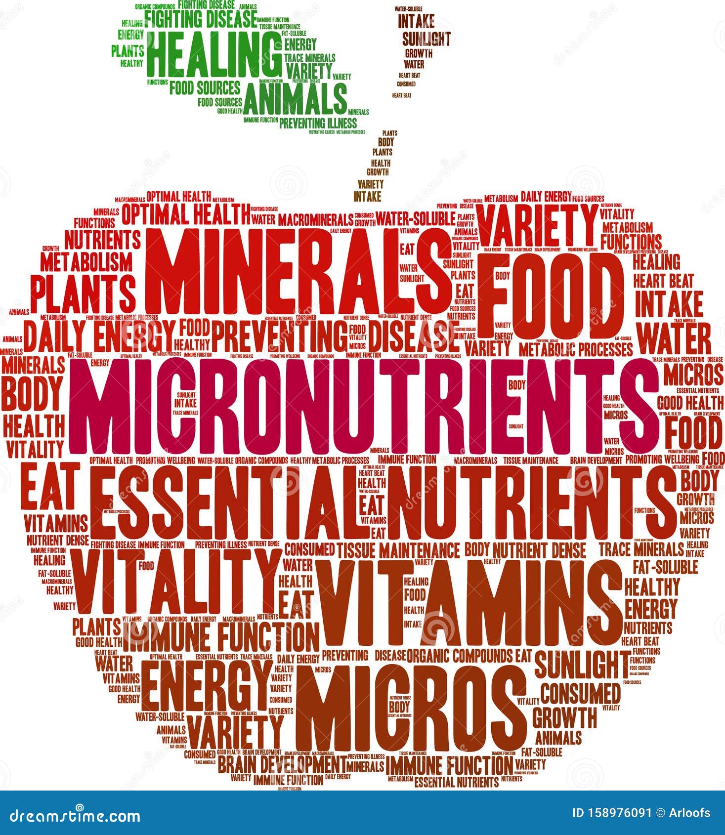 Micronutrients Word Cloud stock vector. Illustration of growth - 158976091
