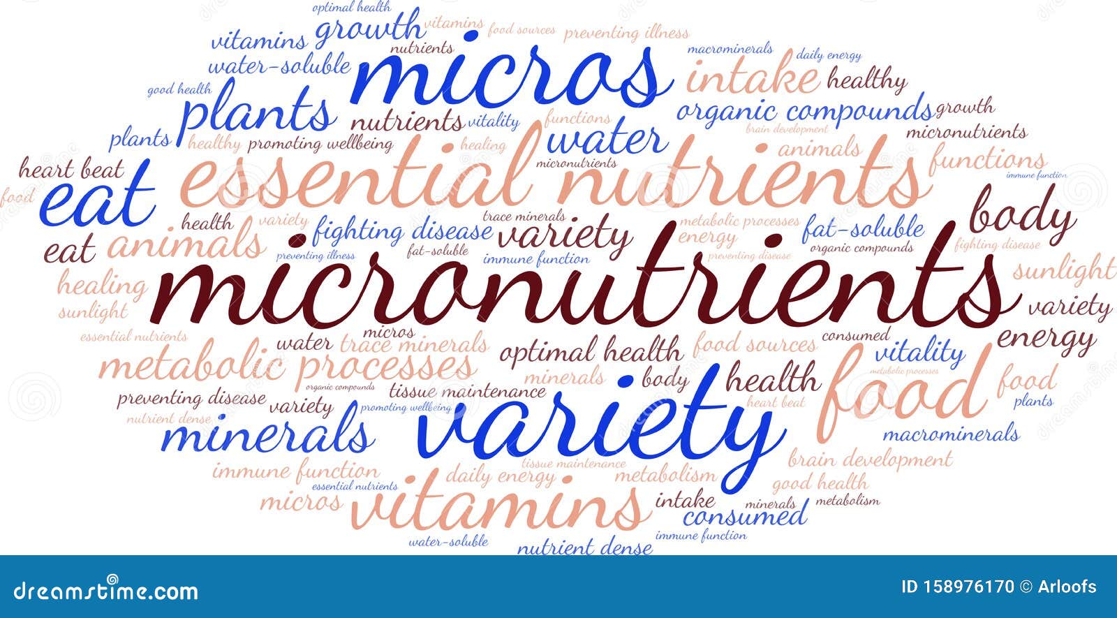 Micronutrients Word Cloud stock vector. Illustration of healing - 158976170