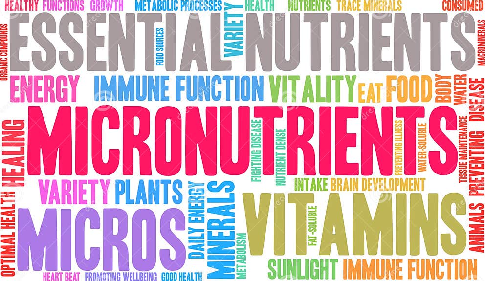 Micronutrients Word Cloud stock vector. Illustration of dense - 158975951