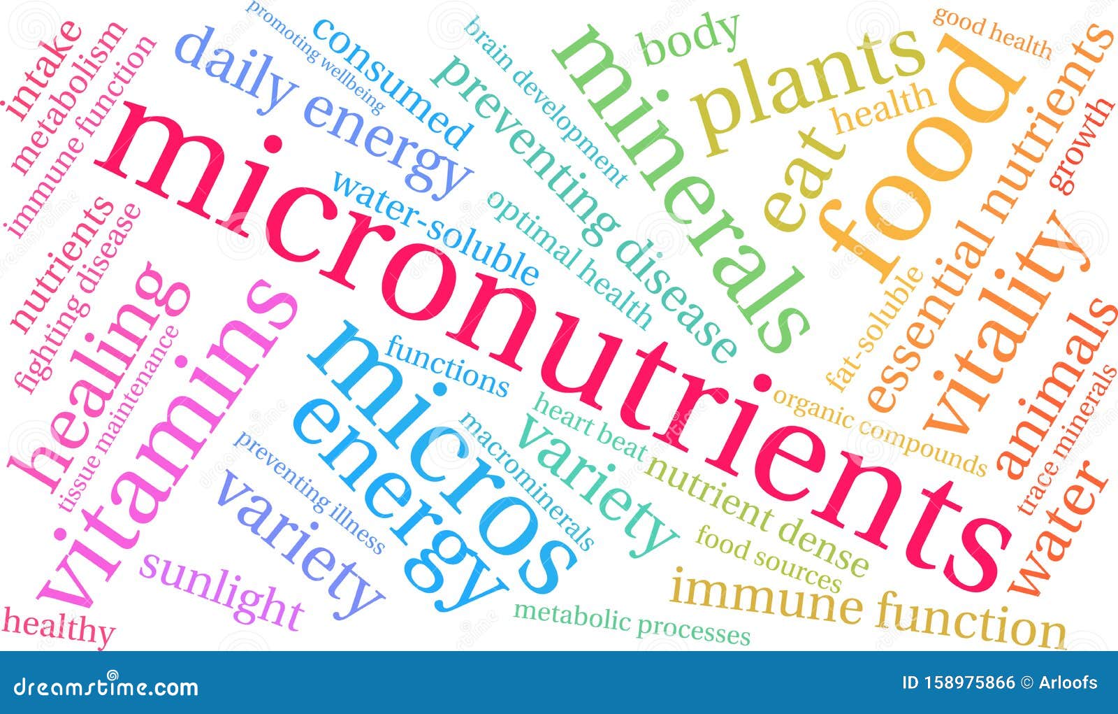 Micronutrients Word Cloud stock vector. Illustration of macrominerals ...
