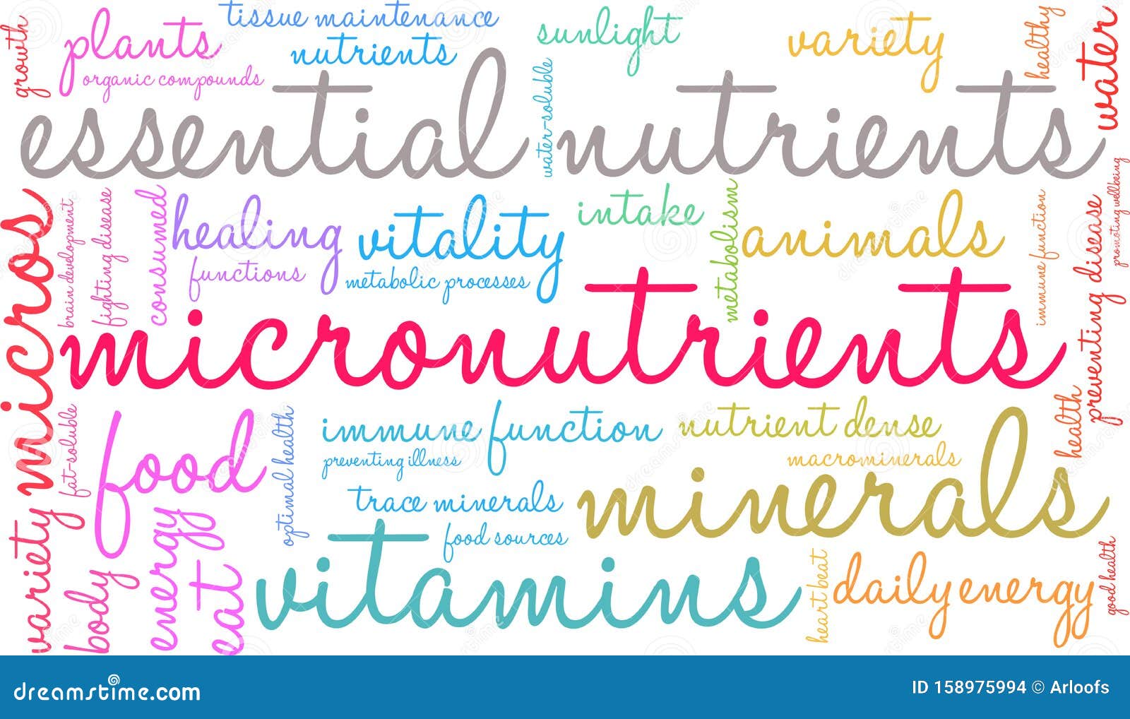Micronutrients Word Cloud stock vector. Illustration of consumed ...