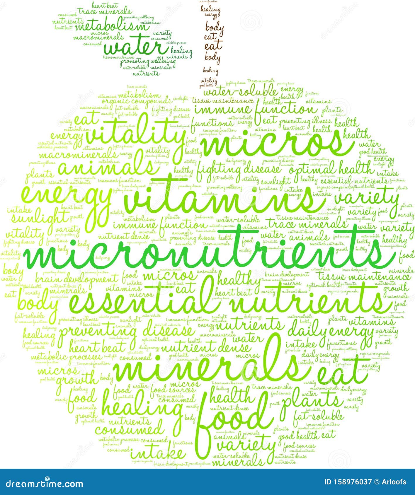 Micronutrients Word Cloud stock vector. Illustration of body - 158976037
