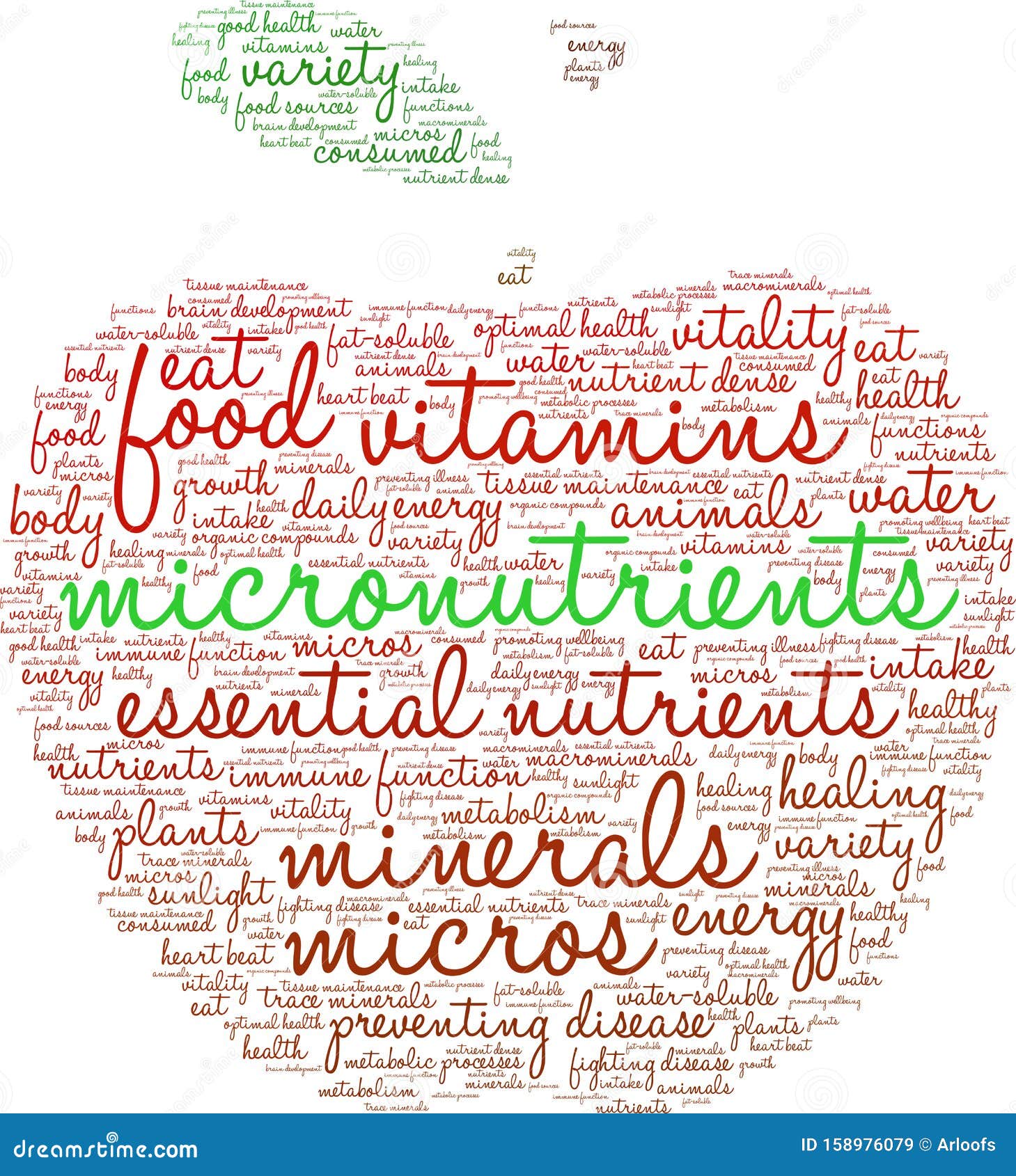 Micronutrients Word Cloud stock vector. Illustration of metabolism ...