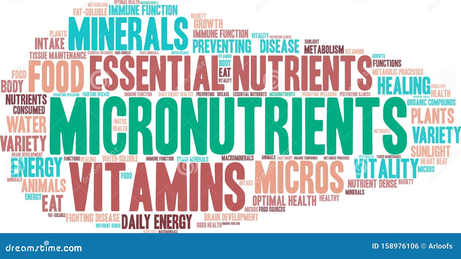Micronutrients Word Cloud stock vector. Illustration of development ...