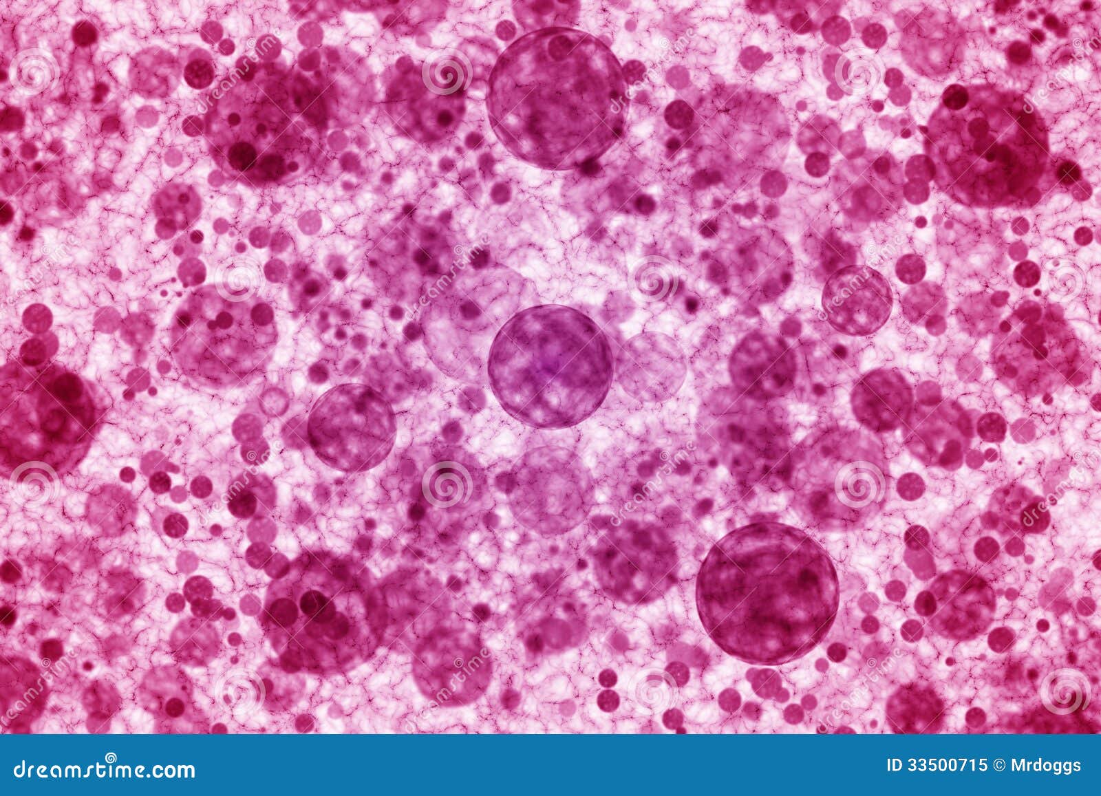 Microorganism cells stock illustration. Illustration of microscopic ...