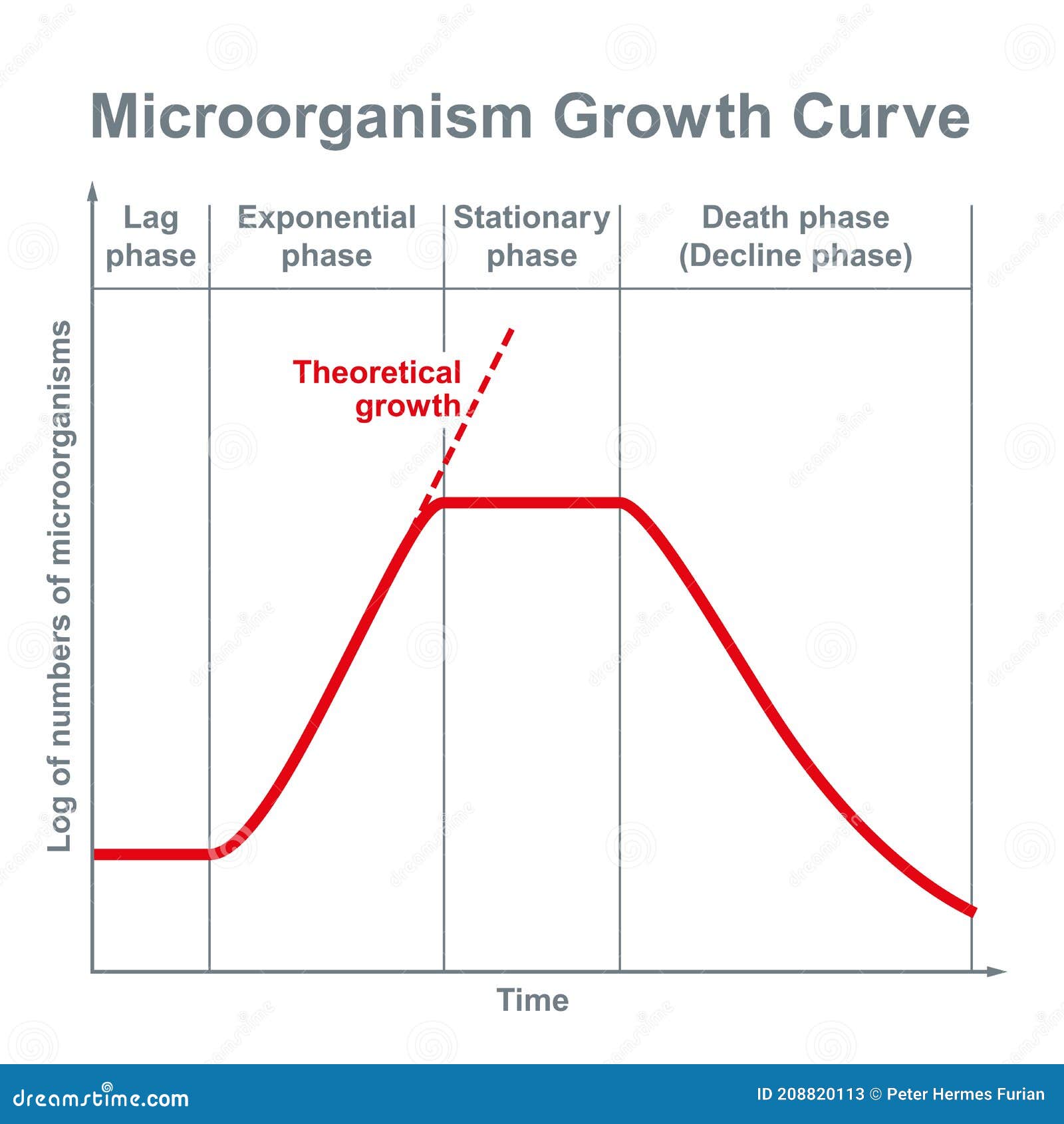 Growth Curve Of Microorganisms Ideal Kinetic Curve Of A Static Culture ...