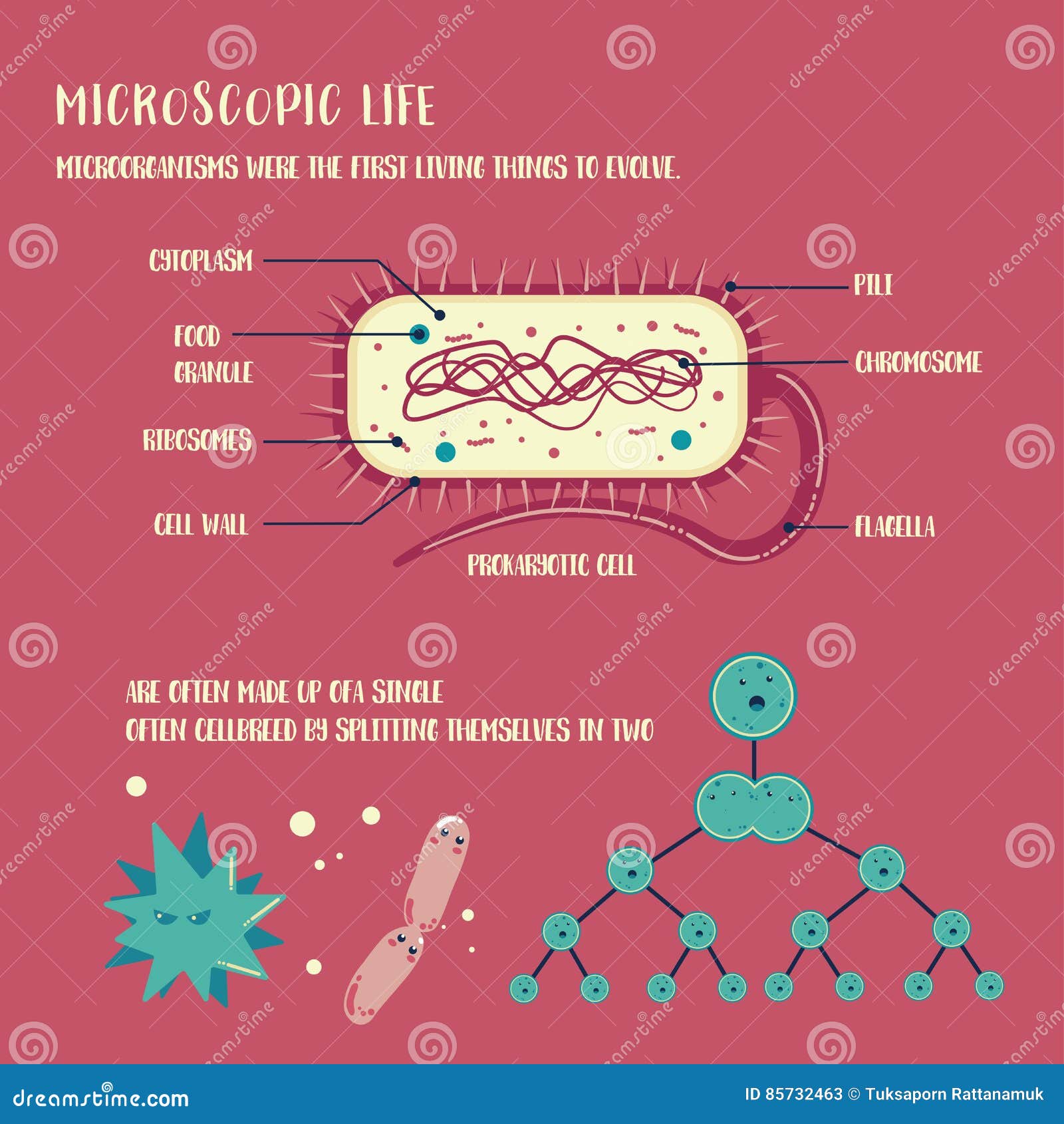Microorganism life stock vector. Illustration of habitat - 85732463