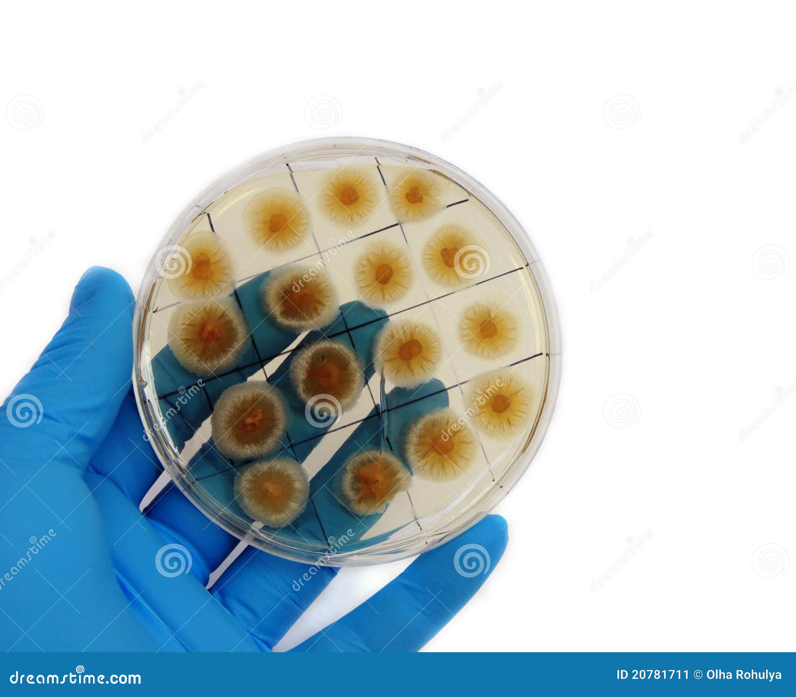 Microorganisms stock image. Image of nature, tool, close - 20781711