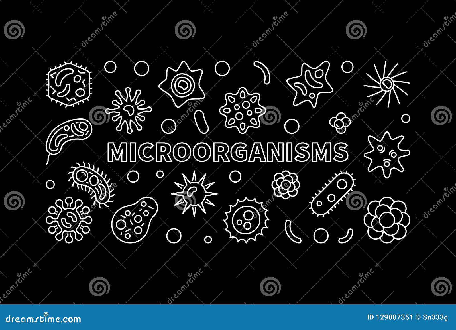 Microorganisms Banner. Vector Microbiology Linear Illustration Stock ...