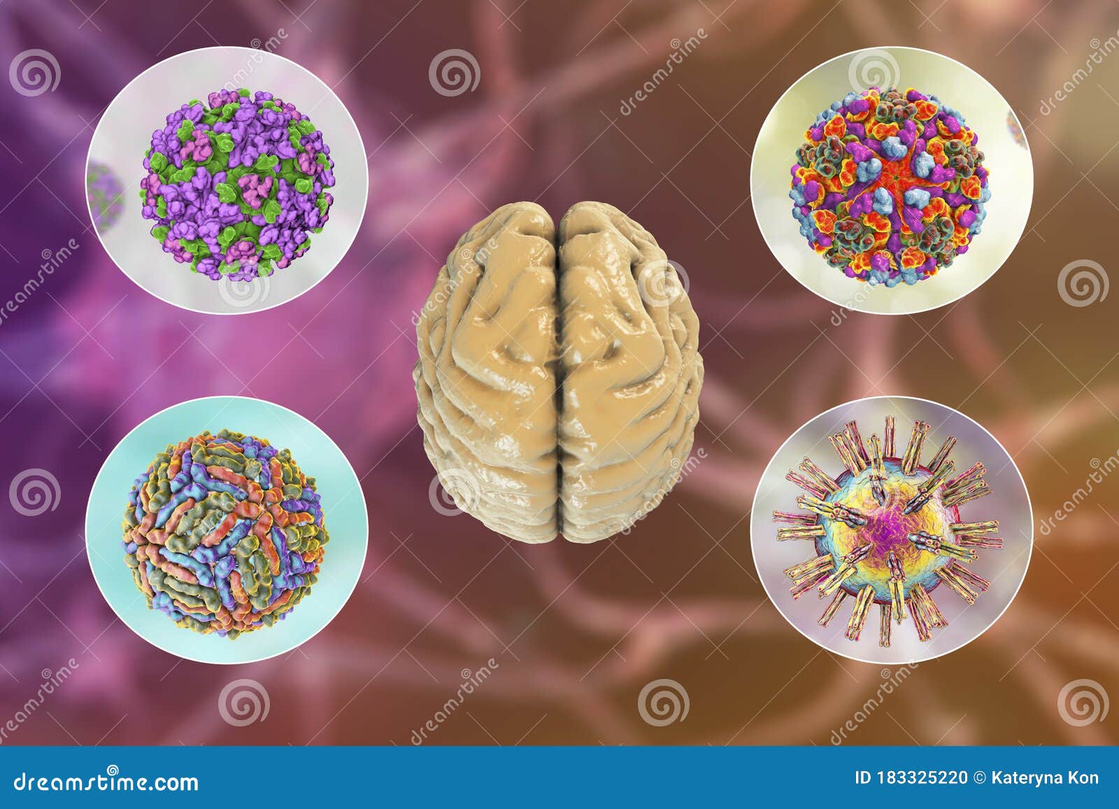 Microorganisms that Cause Brain Infections Stock Illustration ...