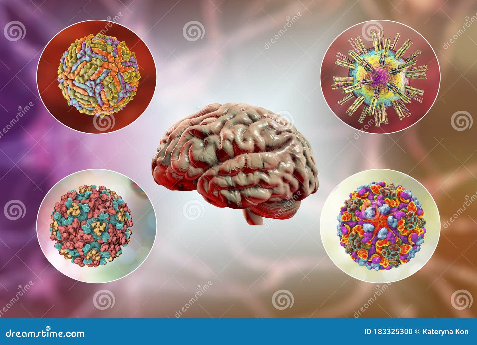 Microorganisms that Cause Brain Infections Stock Illustration ...