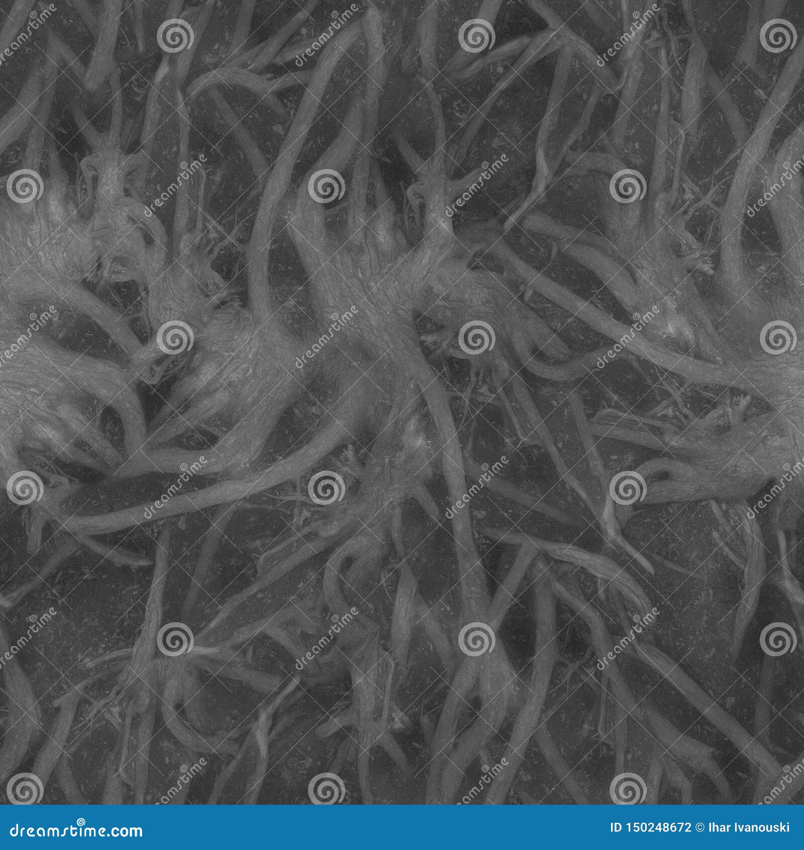 The Microorganisms Causing Human Disease Under a Strong Magnification ...