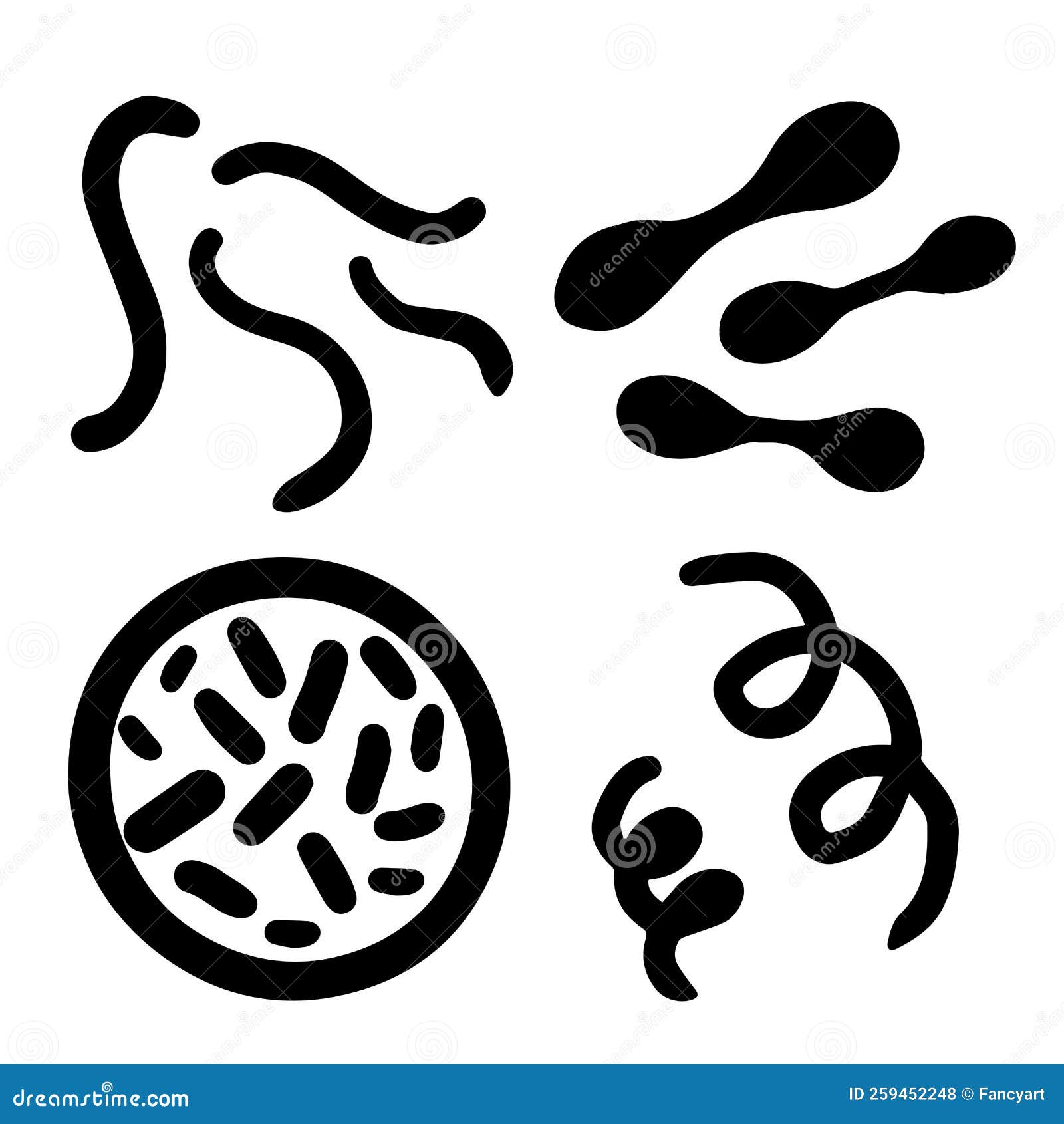 Microorganisms in Coccus Spirilla Vibrio Shapes Stock Illustration ...