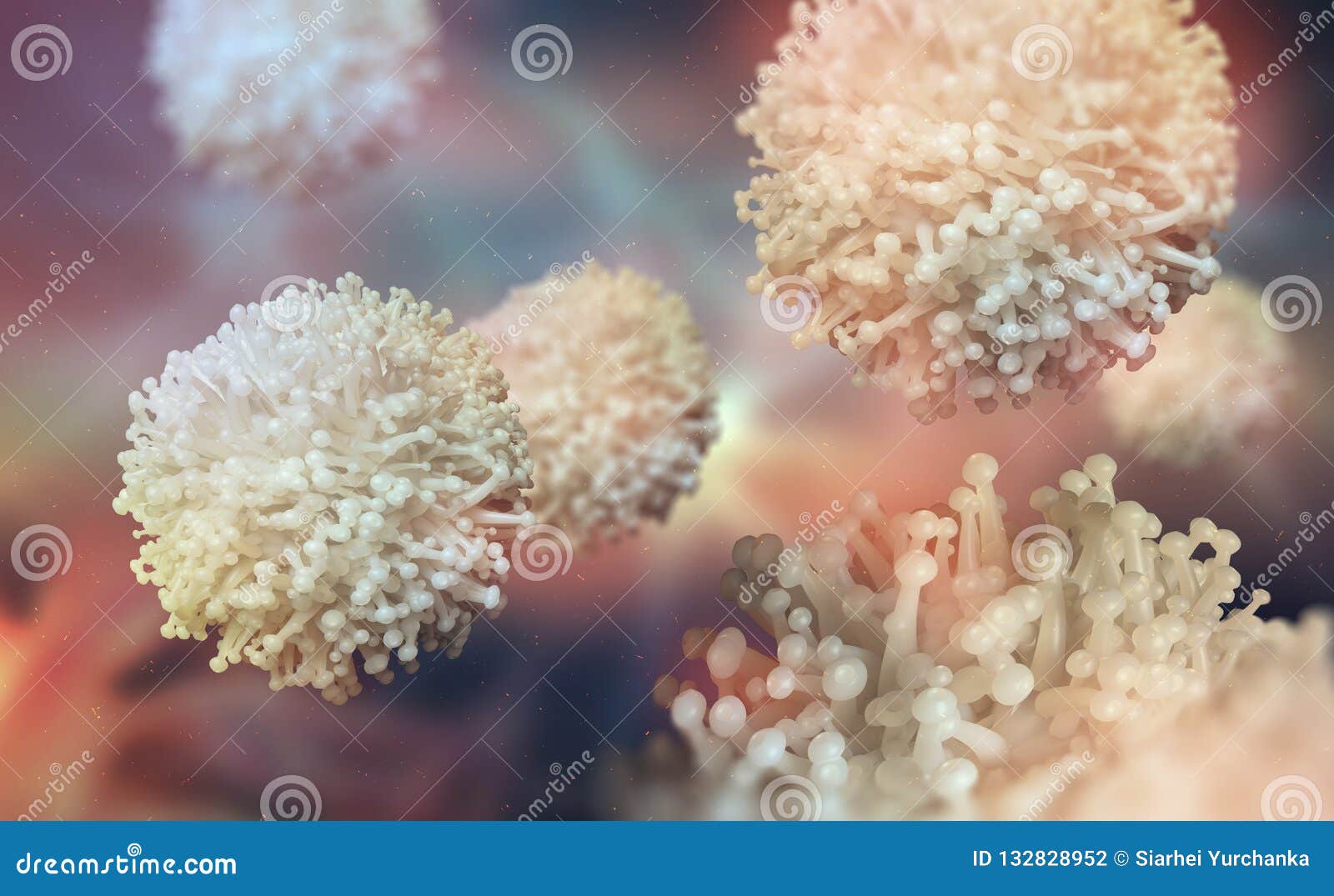 Microorganisms Under the Microscope. Microbes and Viruses in Humans ...