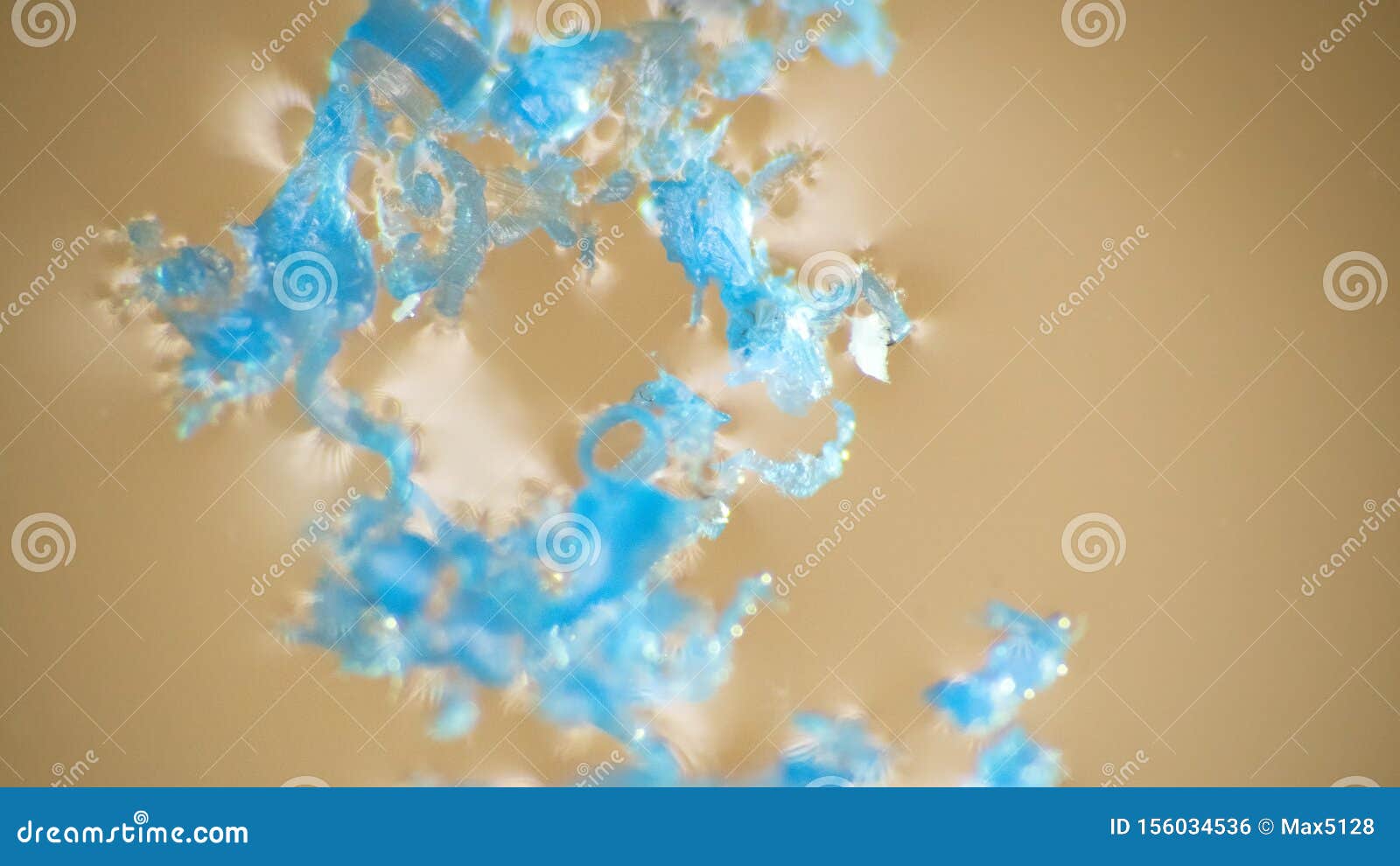 Shooting of Small and Micro Plastic Pieces in Water Environment Stock ...