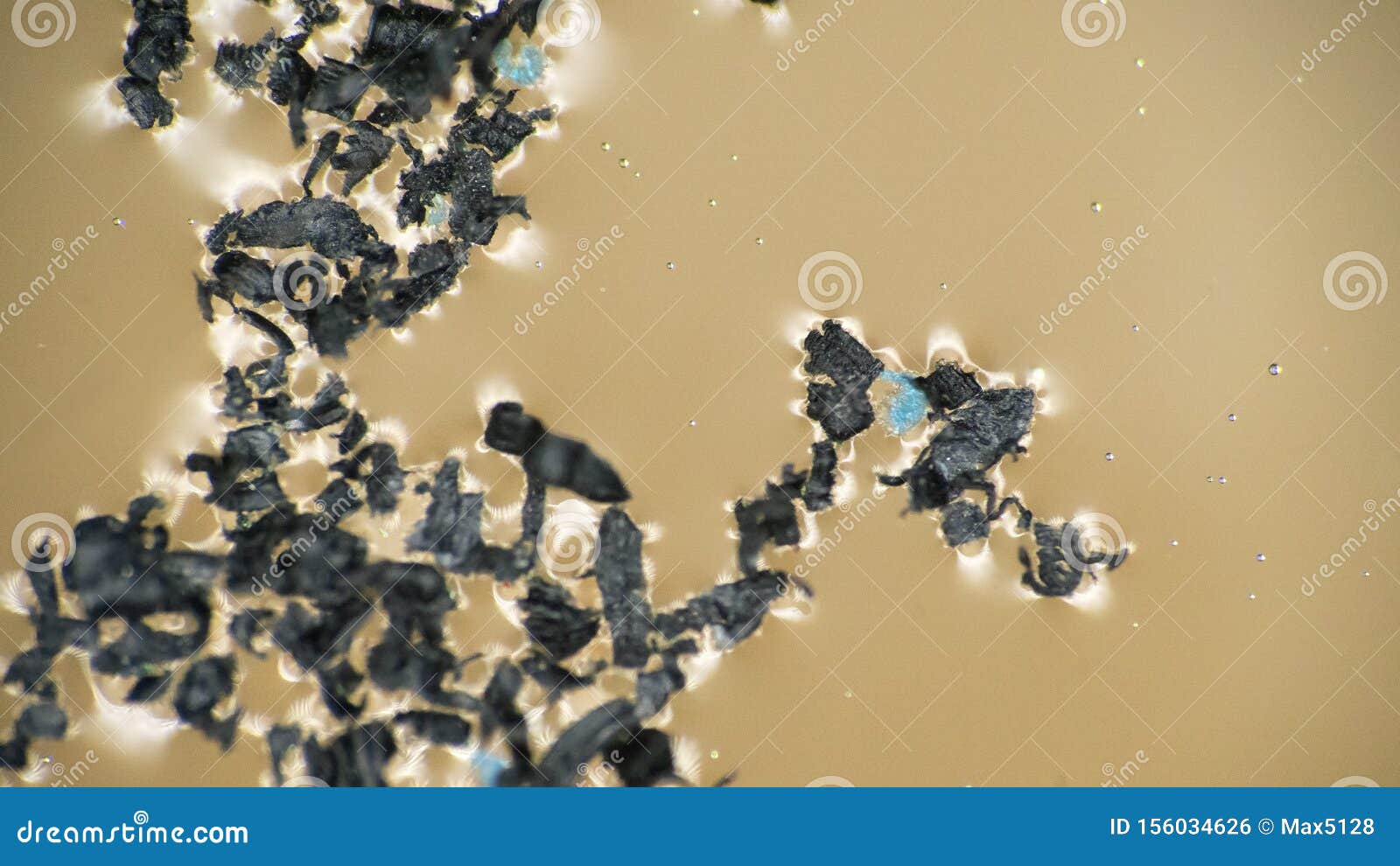 Shooting of Small and Micro Plastic Pieces in Water Environment Stock ...