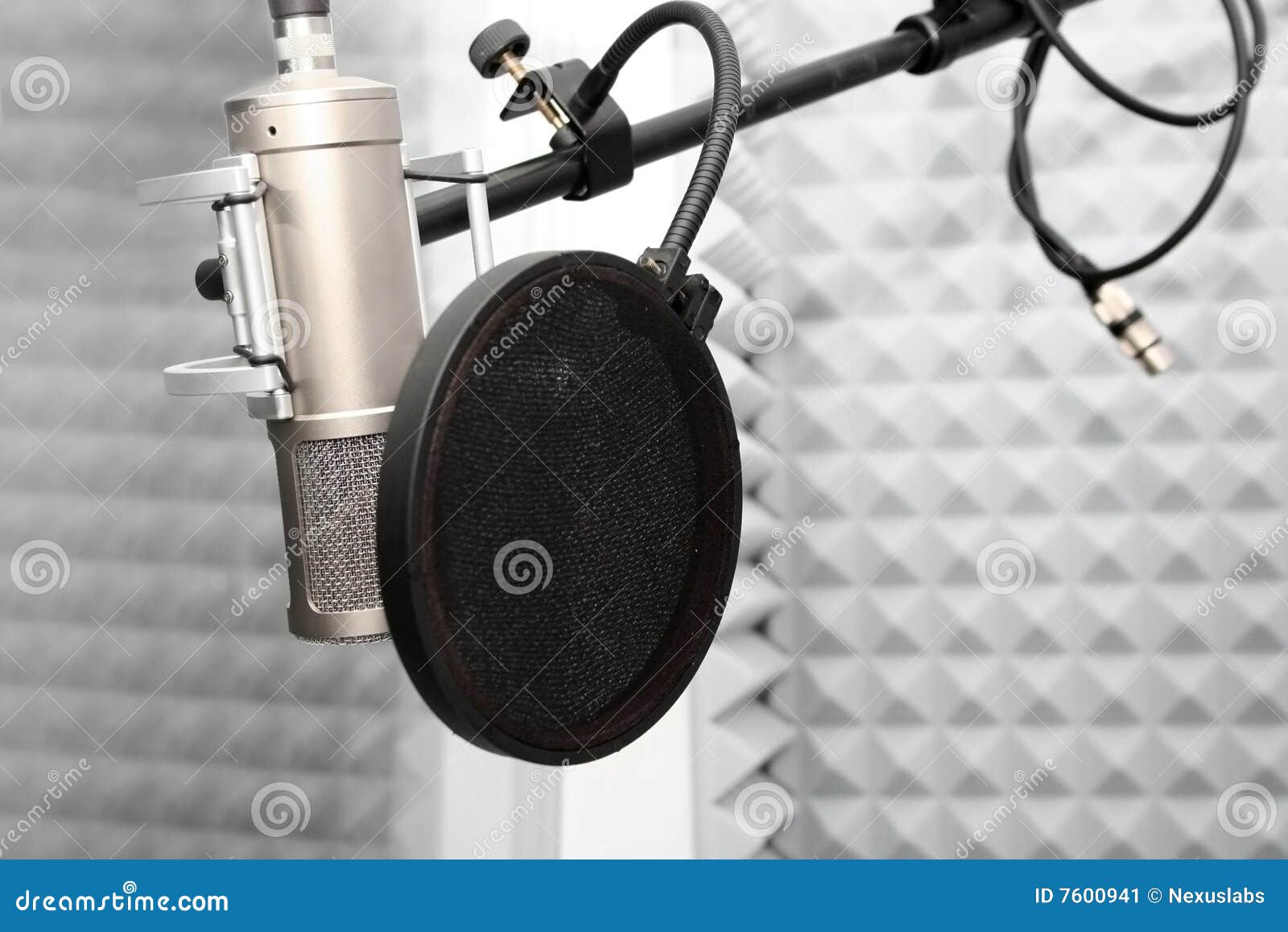 Microphone stock image. Image of vocals, professional - 7600941