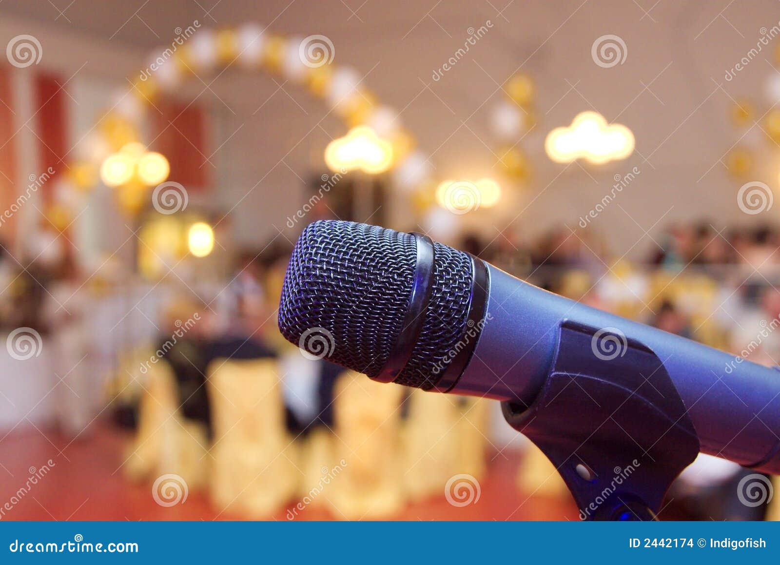 Microphone close up stock photo. Image of audience, information - 2442174