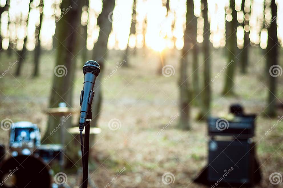 Microphone Close Up in the Forest at Sunset Stock Photo - Image of ...
