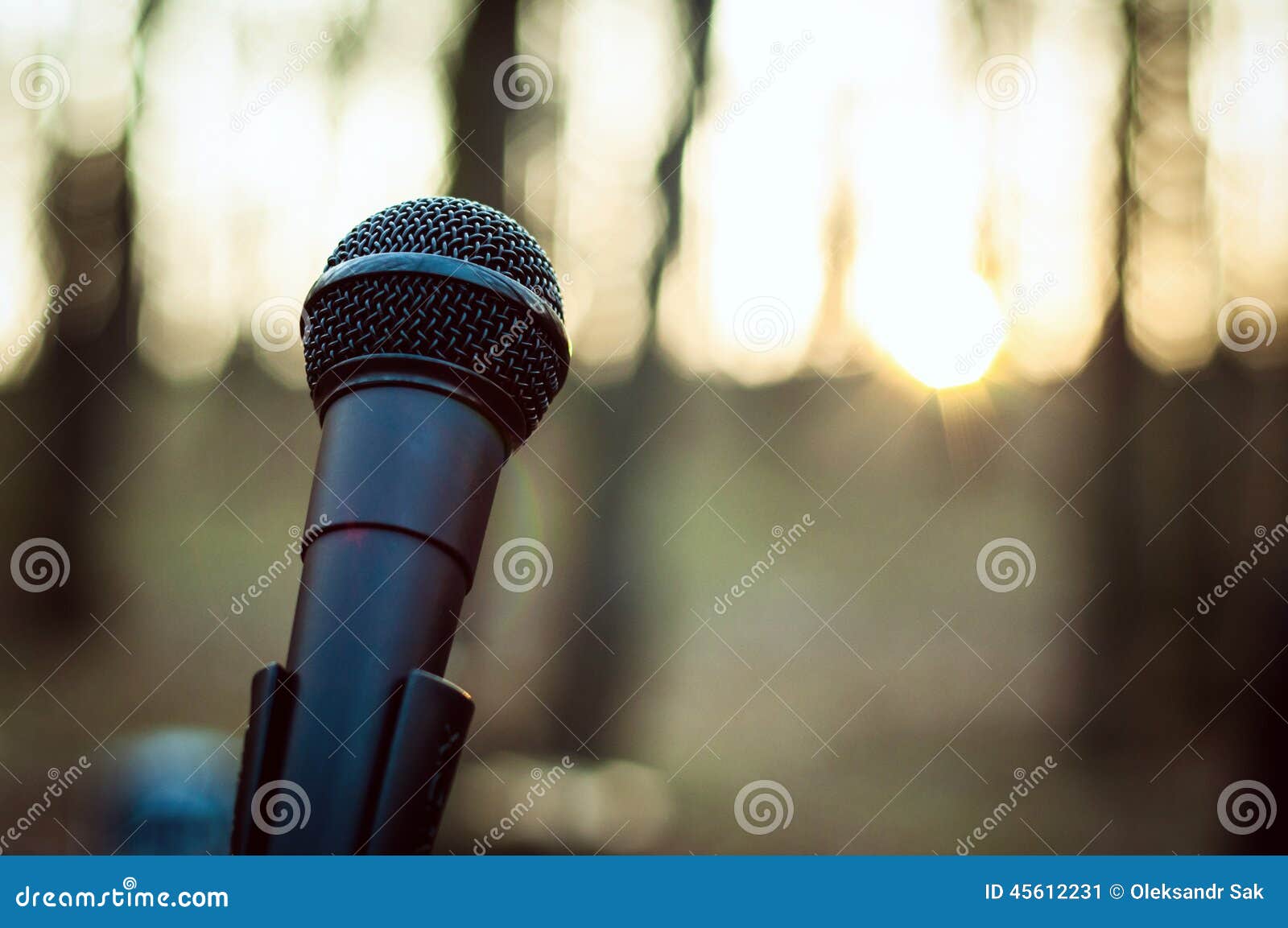 Microphone Close Up in the Forest at Sunset Stock Image - Image of ...
