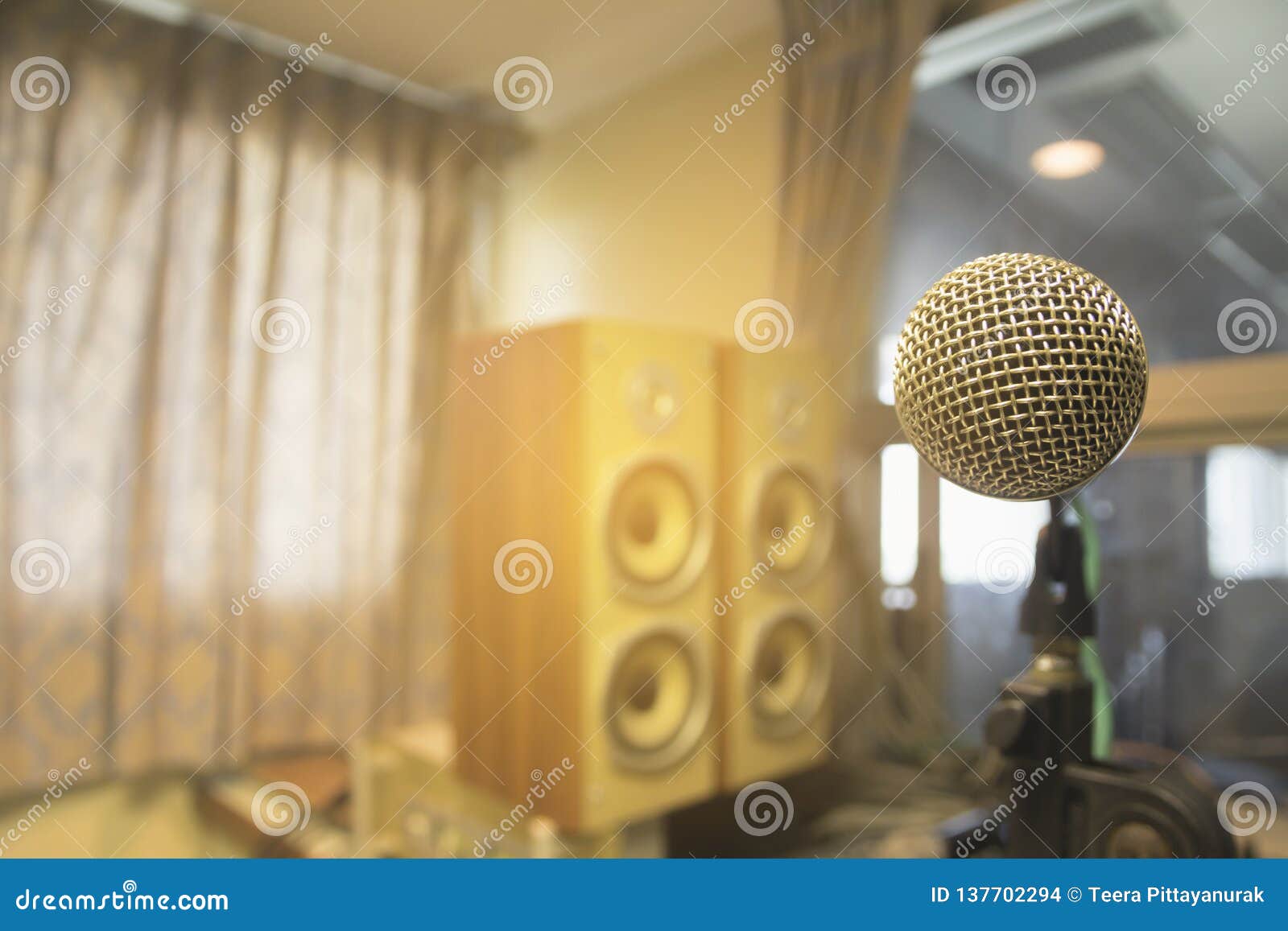The Microphone in the Control Room Audio System of Organizations and ...
