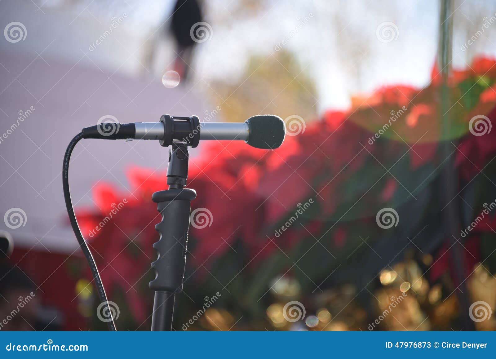 Microphone Facing Right stock image. Image of microphone - 47976873