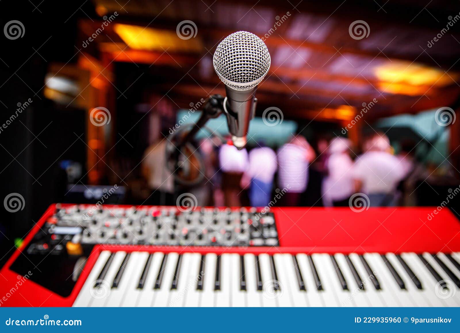 Microphone and Keys during the Concert. View from the Stage. Stock ...