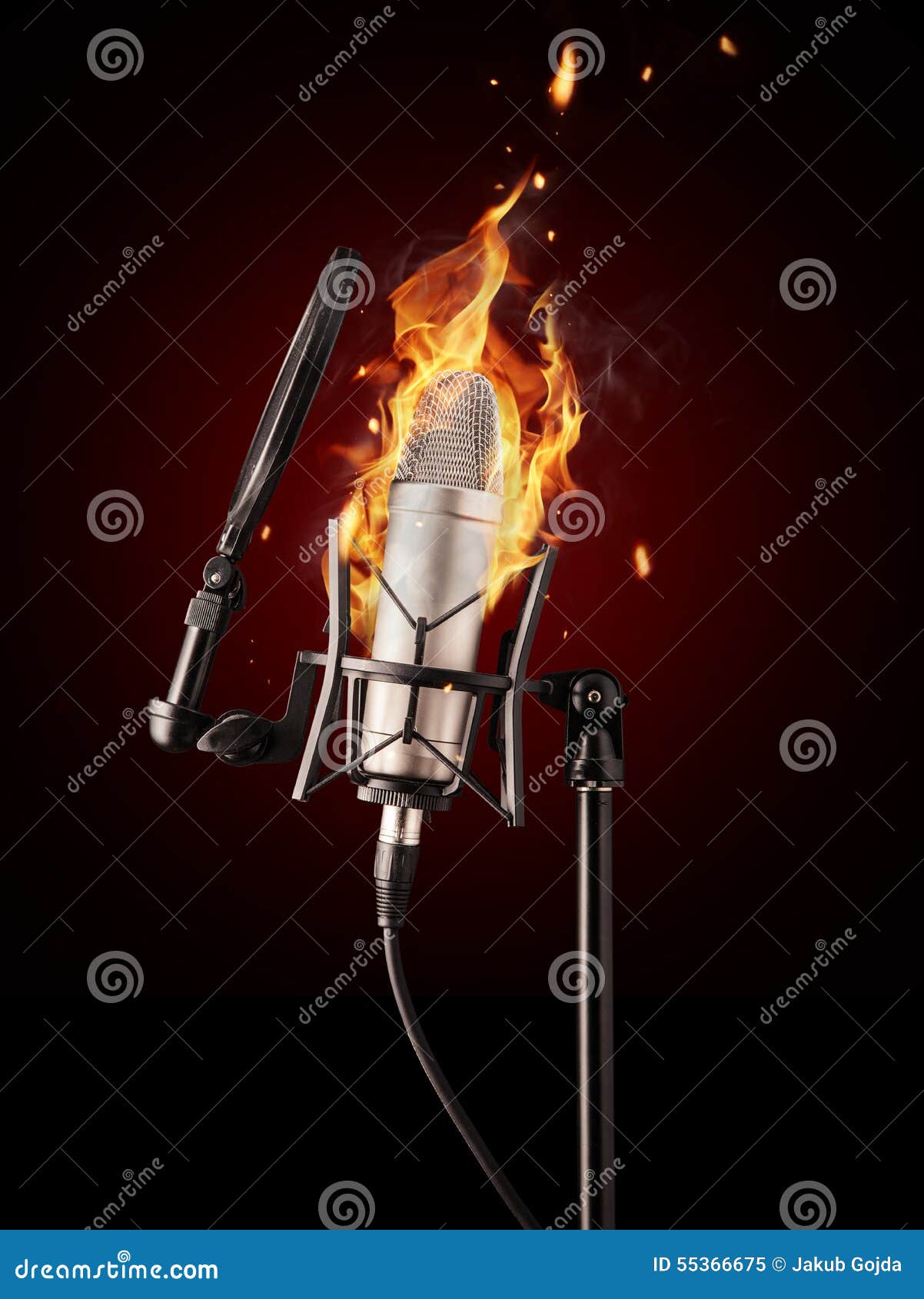 Microphone Professionnel De Chant En Feu Illustration Stock ...