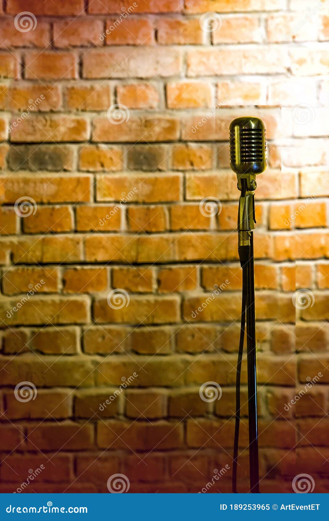 Ready To Use Microphone Stock Image | CartoonDealer.com #23330521