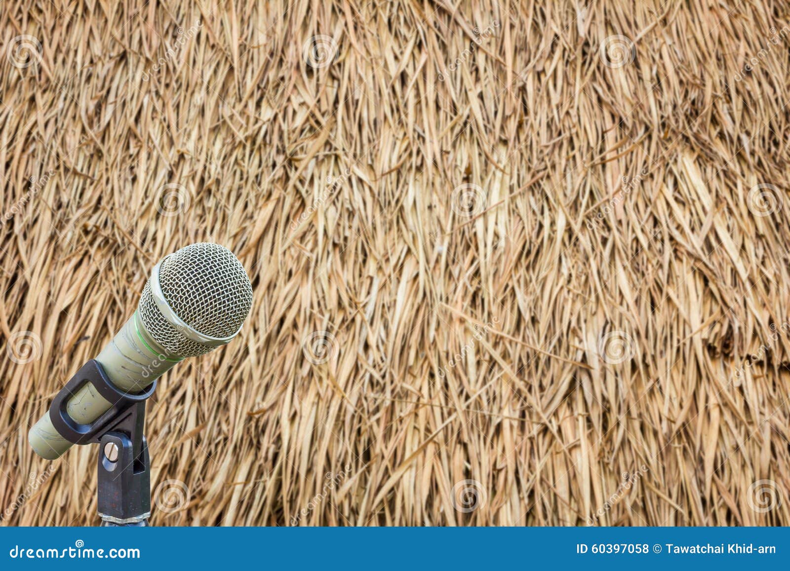 Microphone on a Stand with Blurred Dried Leaves of the Cogon Gra Stock ...