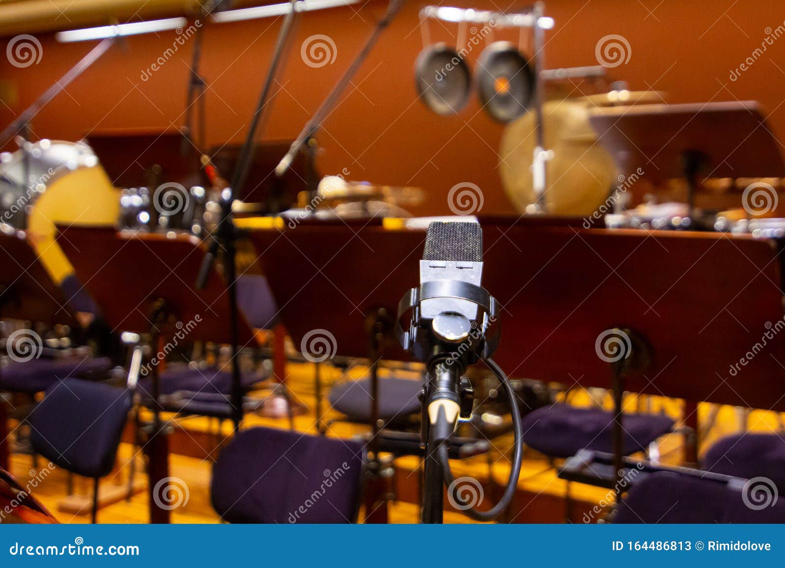Microphone with a Stand Close Up. Instruments of the Orchestra in ...