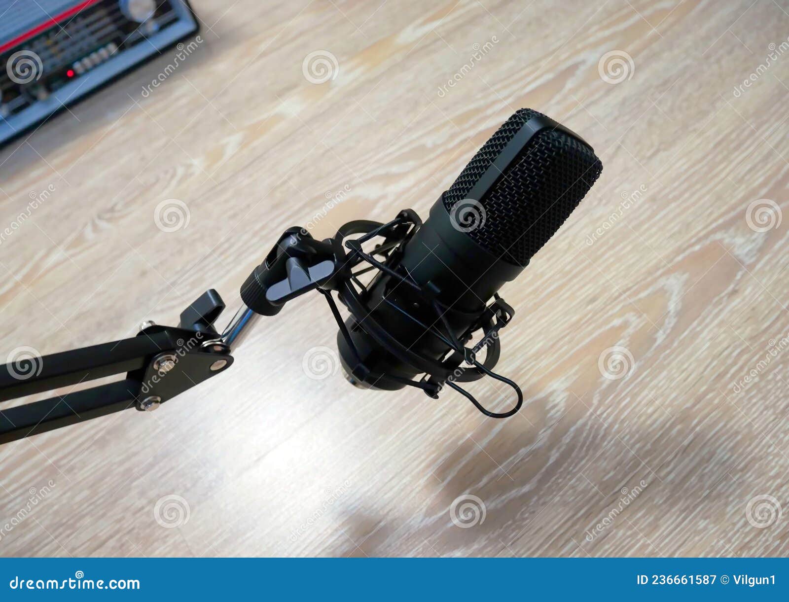 Microphone for Streaming and Bloggers. Microphone on a Movable Leg for ...