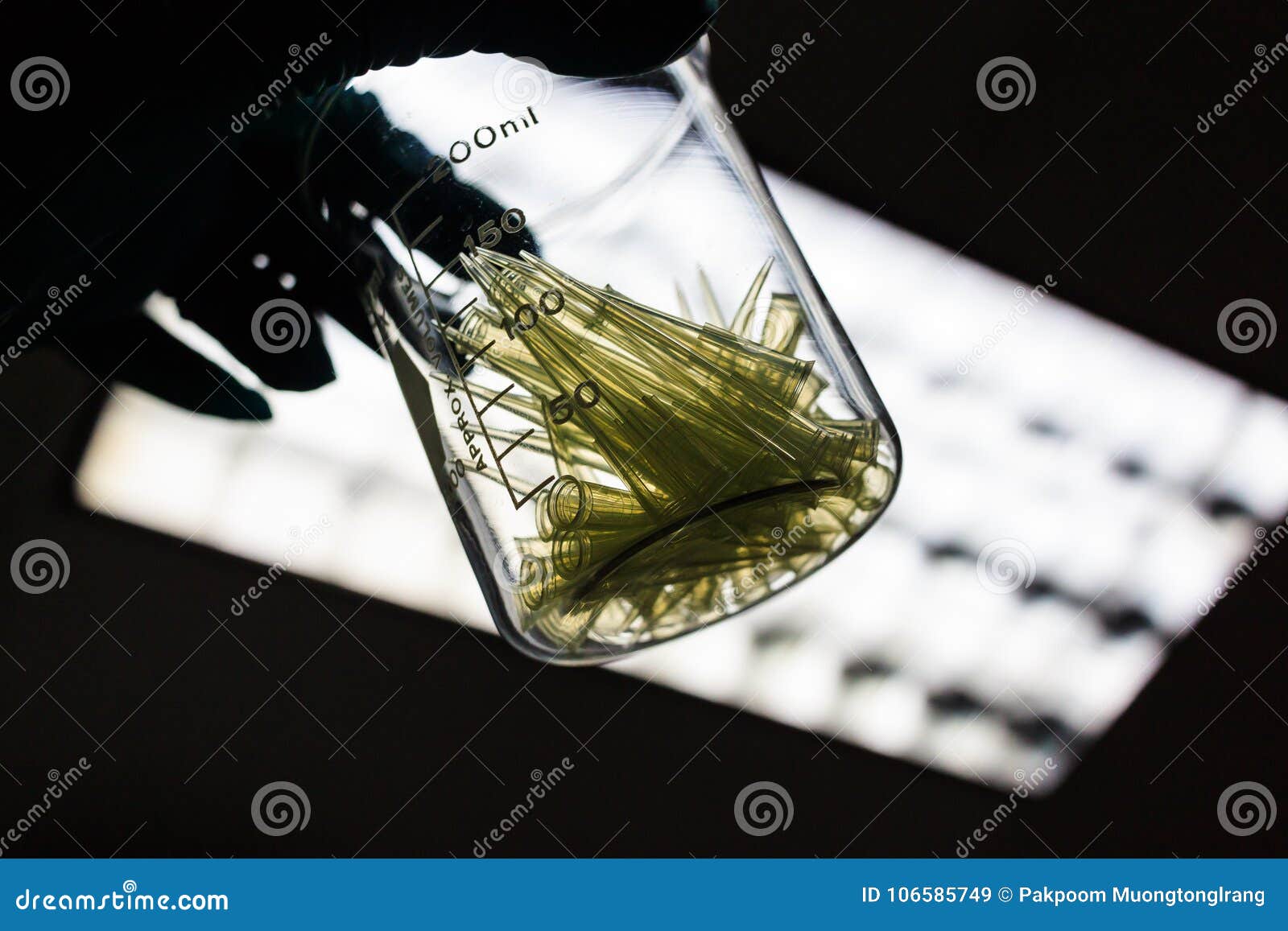 Micropipette Tips Inside of the Beaker and Holding by Hand in La Stock ...