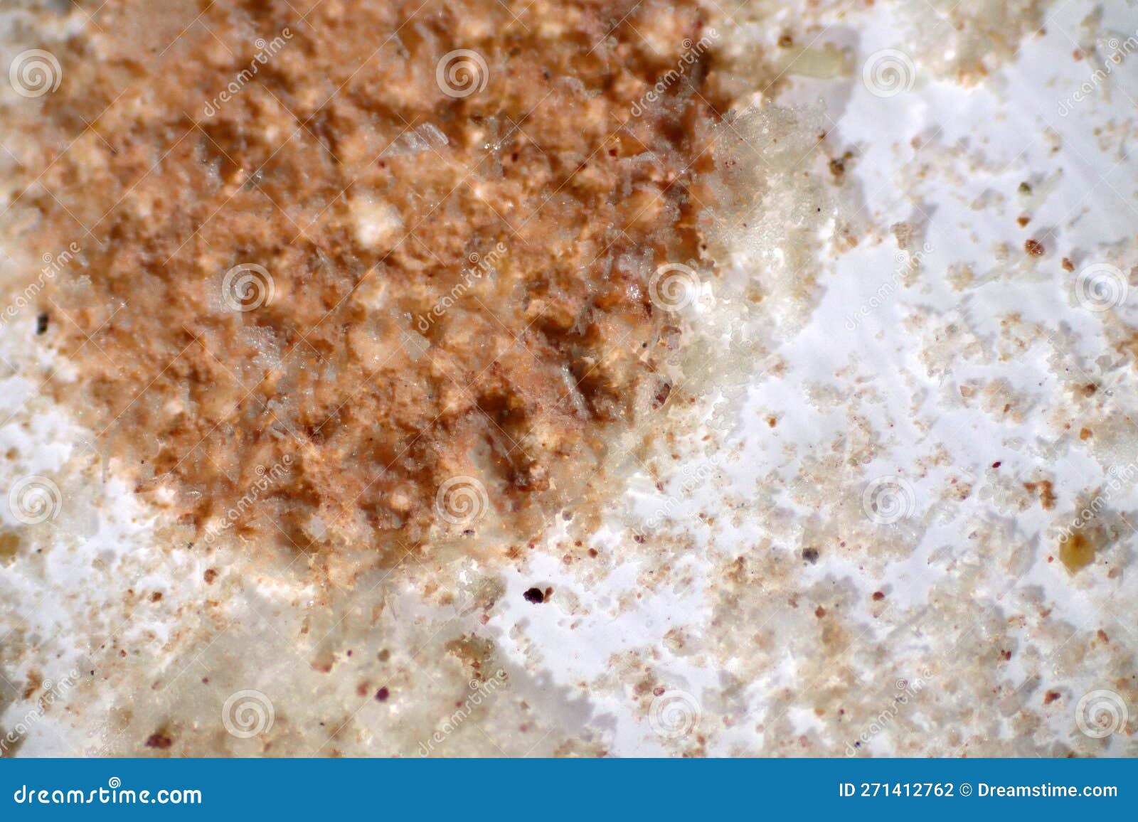 Microplastics Inside the Soil. Concept of Global Warming and Climate ...