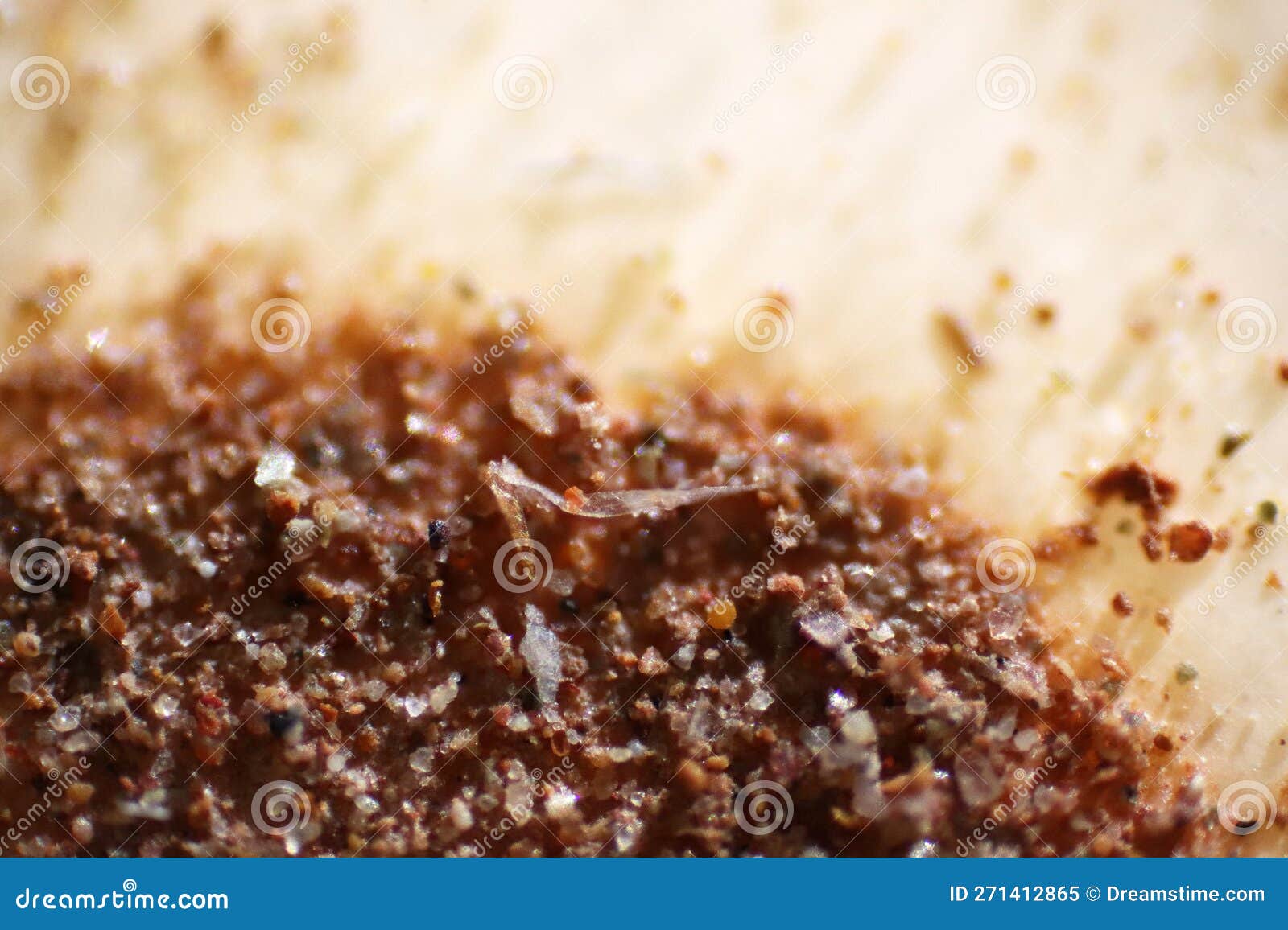 Microplastics Inside the Soil. Concept of Global Warming and Climate ...