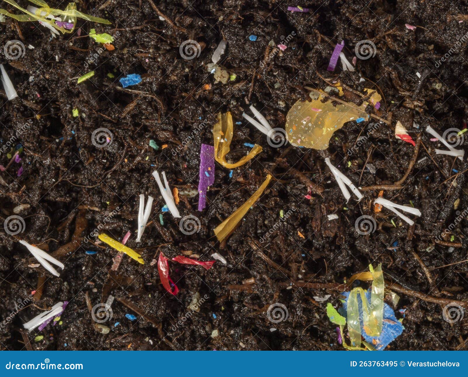 Microplastics in Soil , Soil Sample Stock Image - Image of human ...