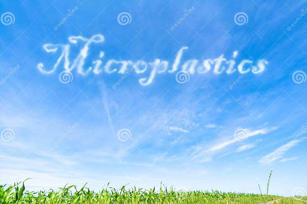 Microplastics: Tiny Plastic Particles that Pollute Ecosystems and Harm ...