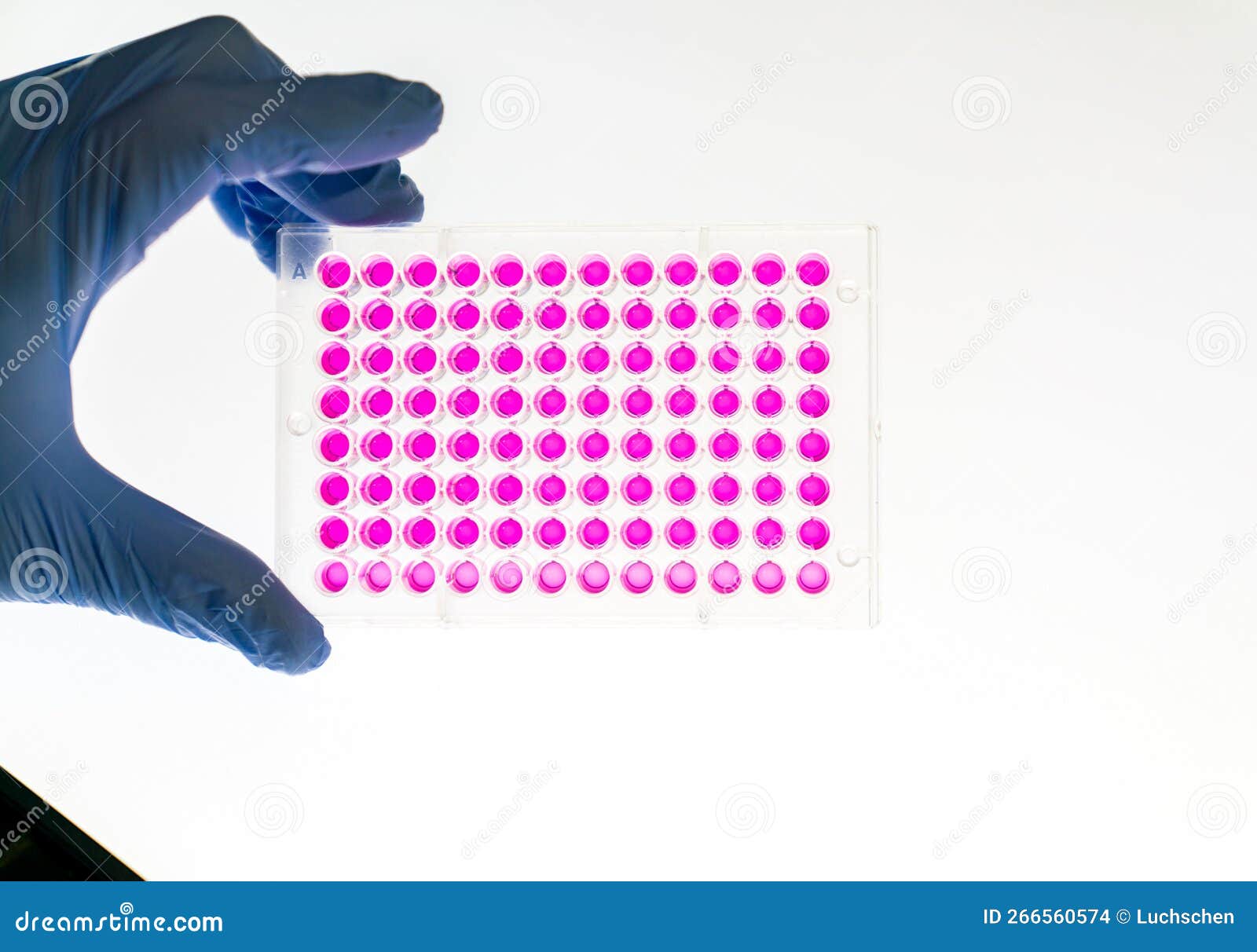 A Microplate or Microtiter Plate or Microwell Plate, Multiwell, is a ...