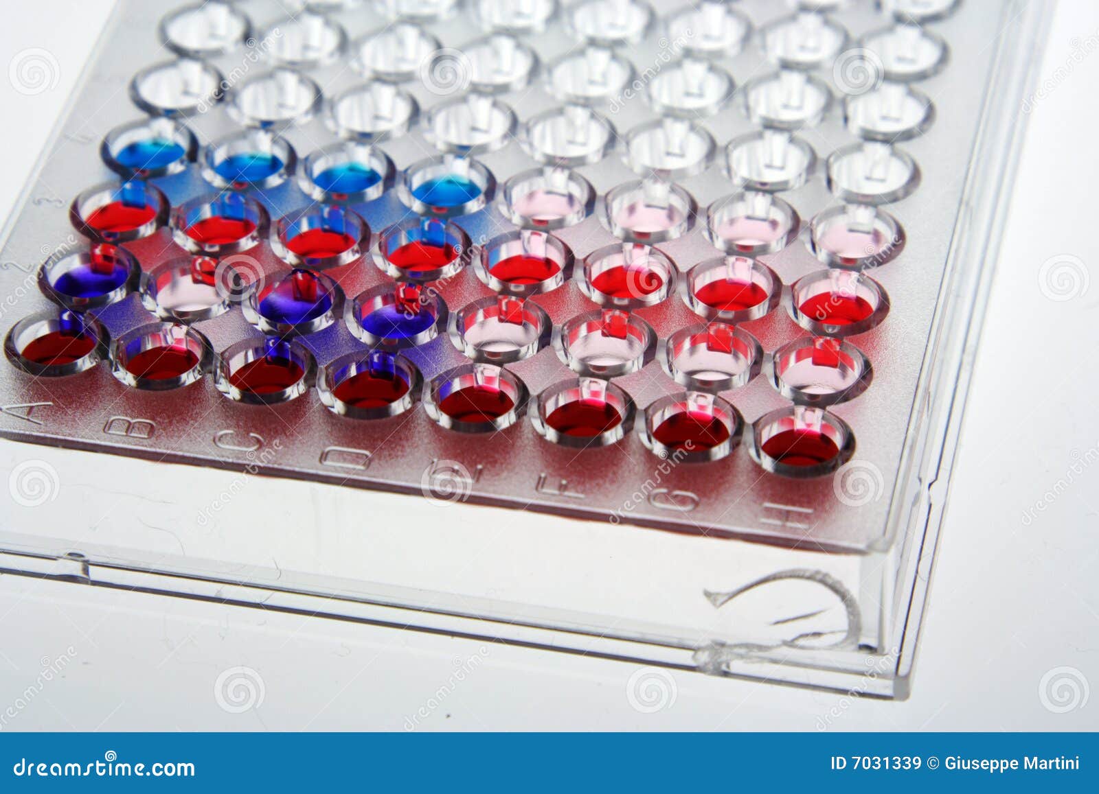 Microplates test stock image. Image of equipment, chemical - 7031339