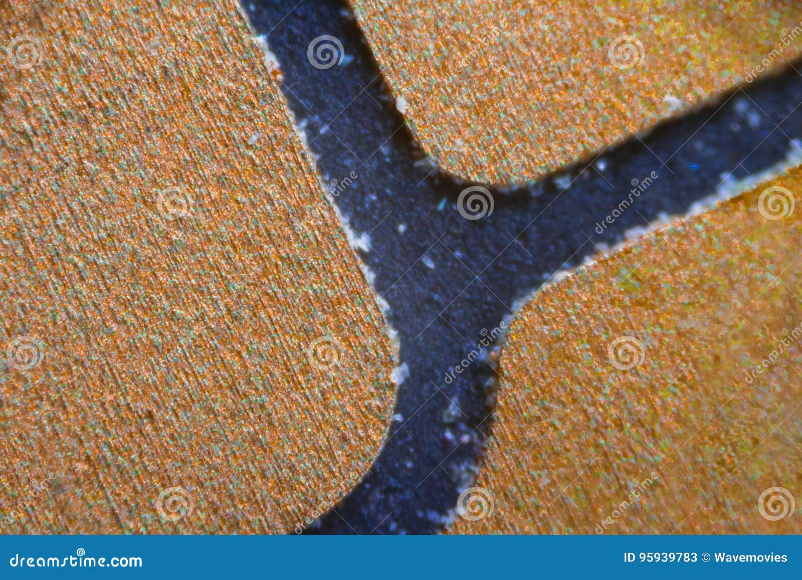 Microprocesador De NFC Debajo Del Microscopio Imagen de archivo ...