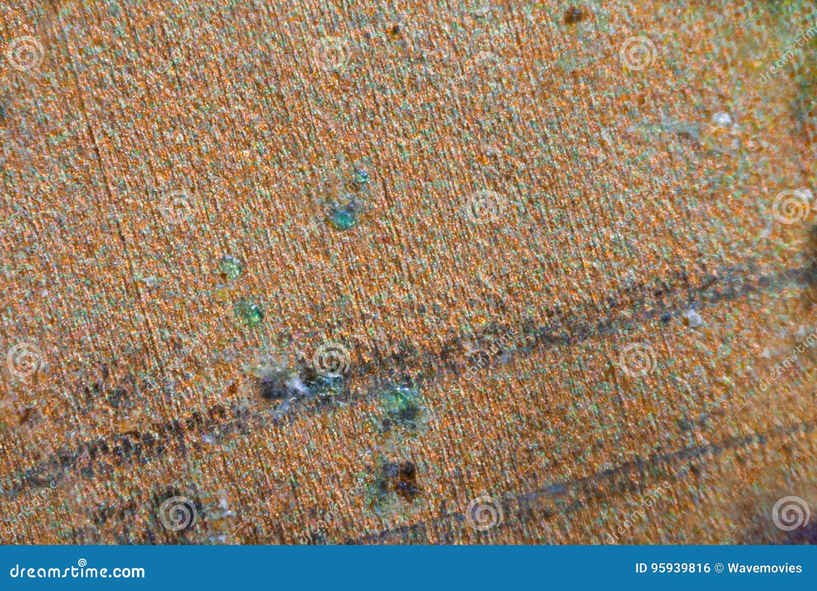 Microprocesador De NFC Debajo Del Microscopio Foto de archivo - Imagen ...