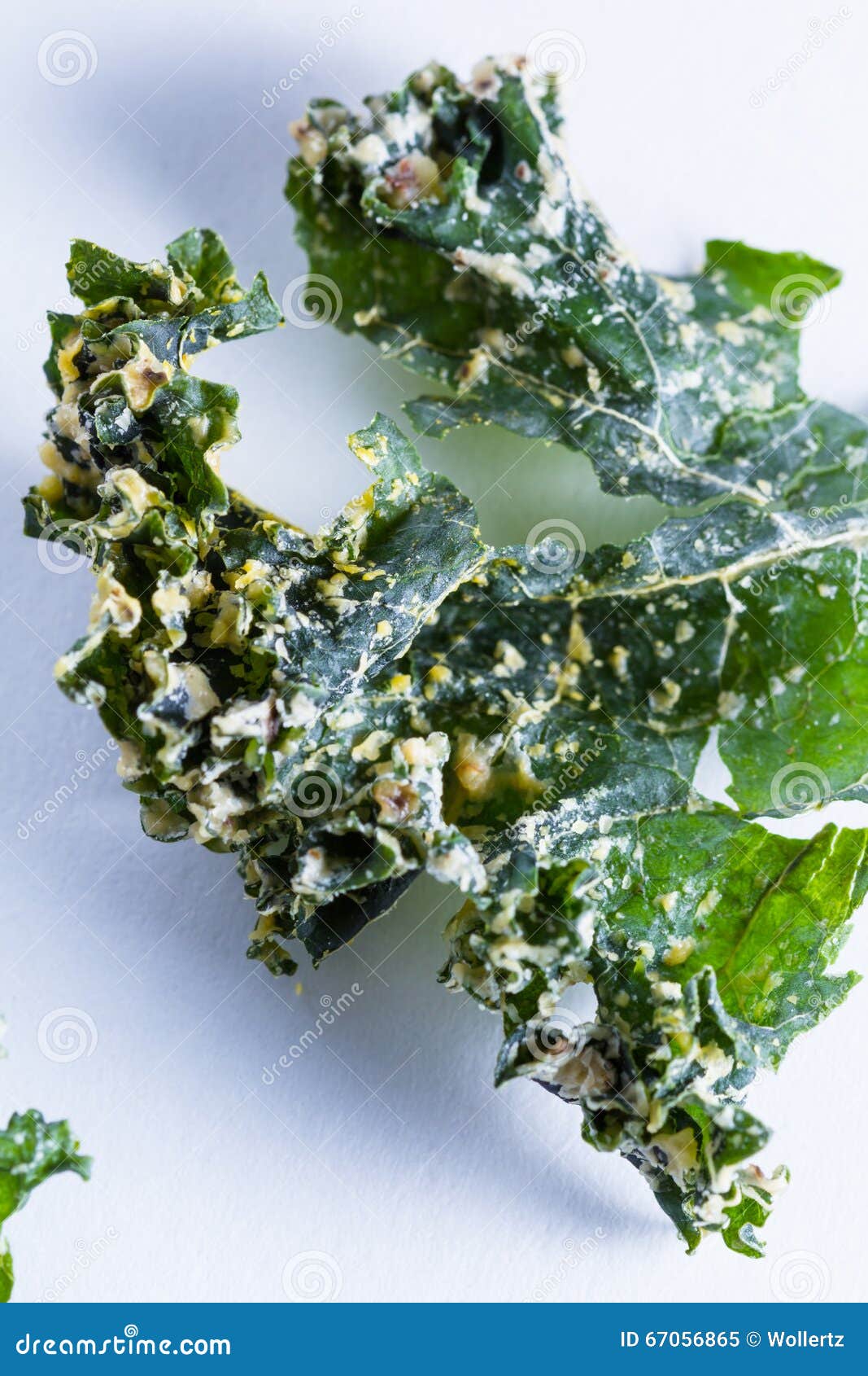 Microprocesadores De La Col Rizada Con El Queso Parmesano Imagen de ...