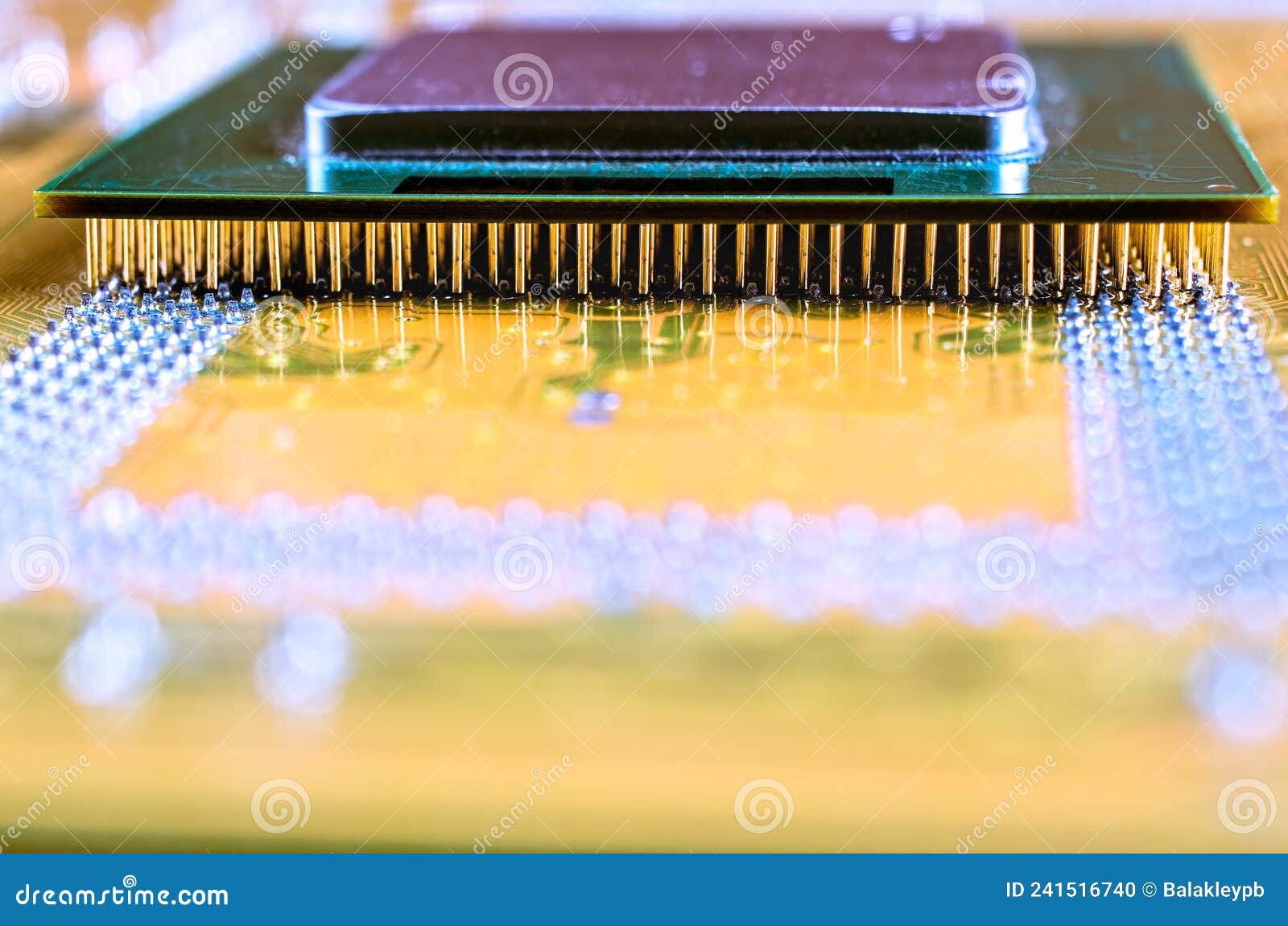 Microprocessor Close-up, Gold-plated Contact Stock Photo - Image of ...