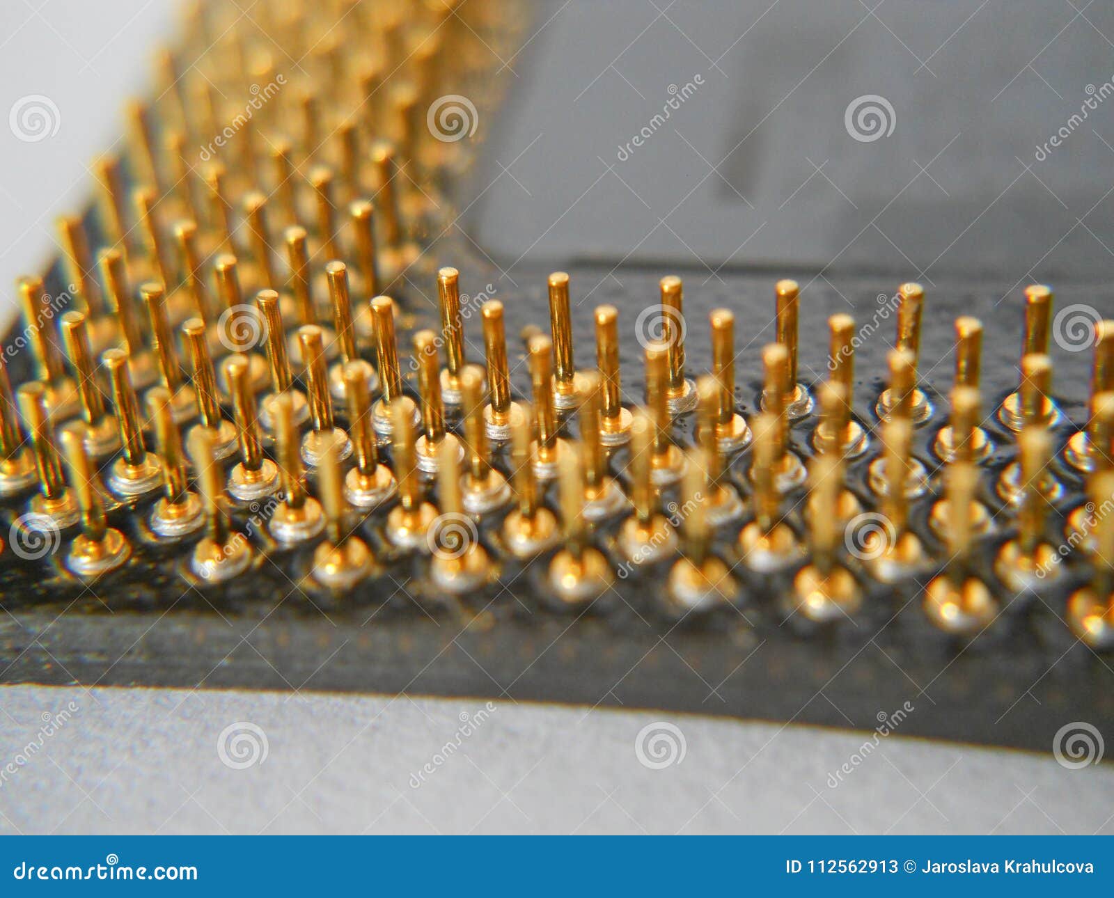 Processor Gold Contacts stock image. Image of silicon - 112562913