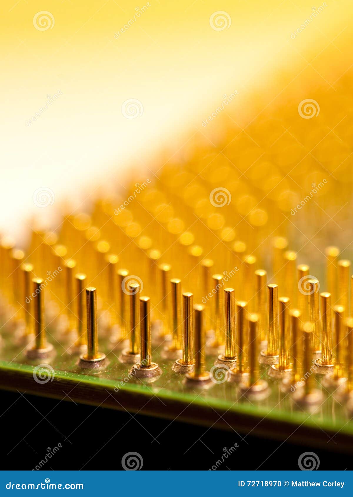 Microprocessor Gold Pins stock photo. Image of electronic - 72718970